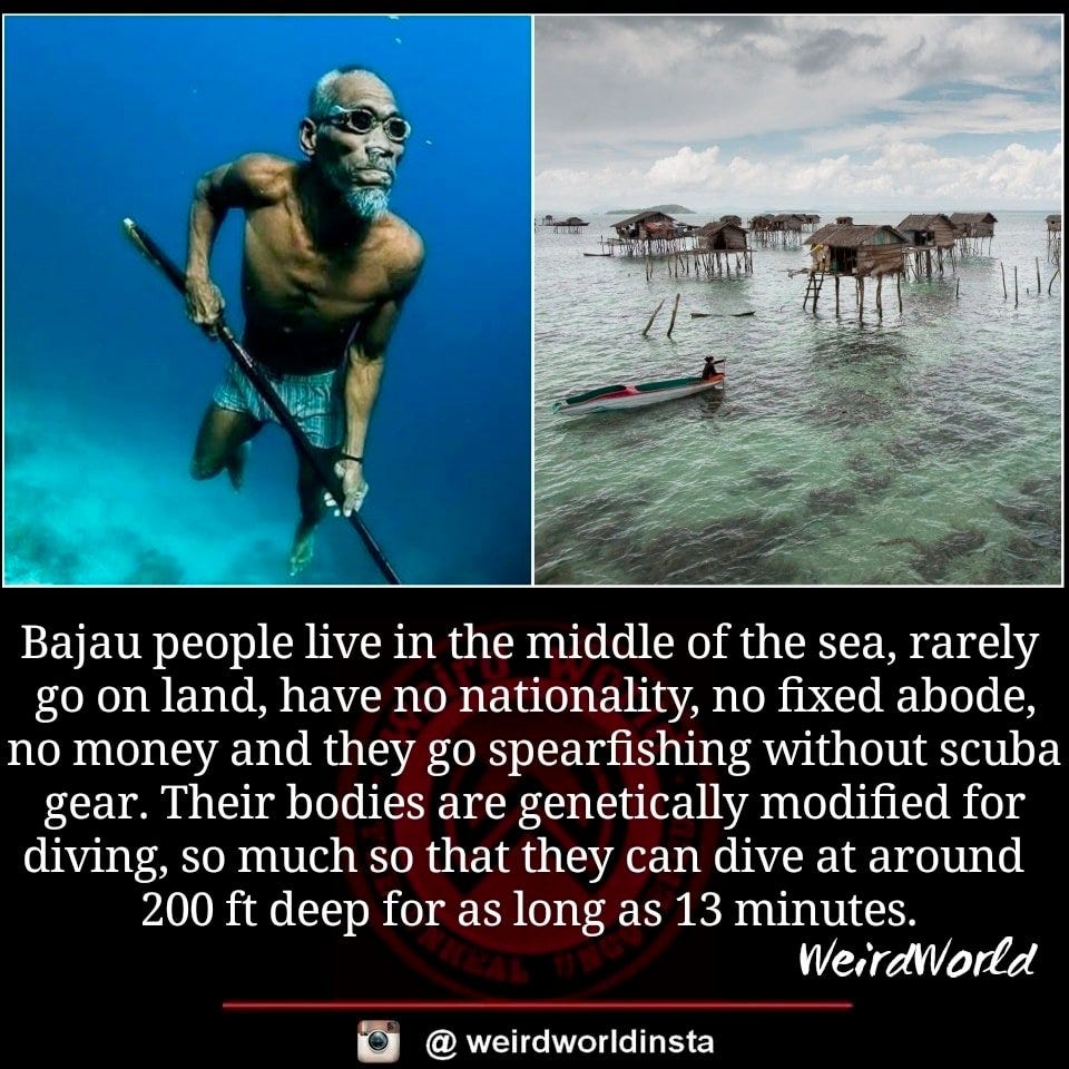 ADAPTION POWER - by George Helou - George’s Newsletter