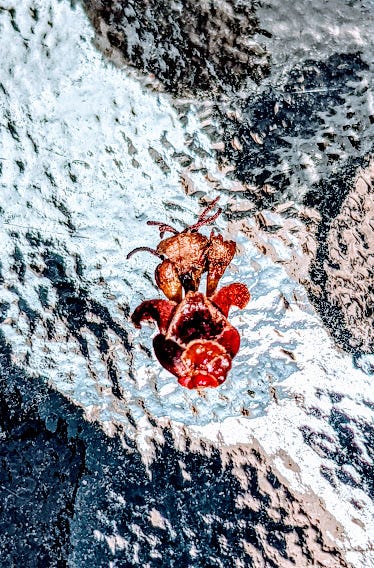 The presence of absence - by Con/Jur/d - gate(less)