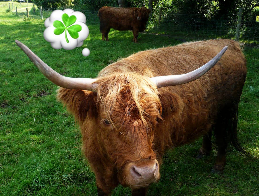 When logic goes brogue - by Benjamin Errett - Get Wit Quick