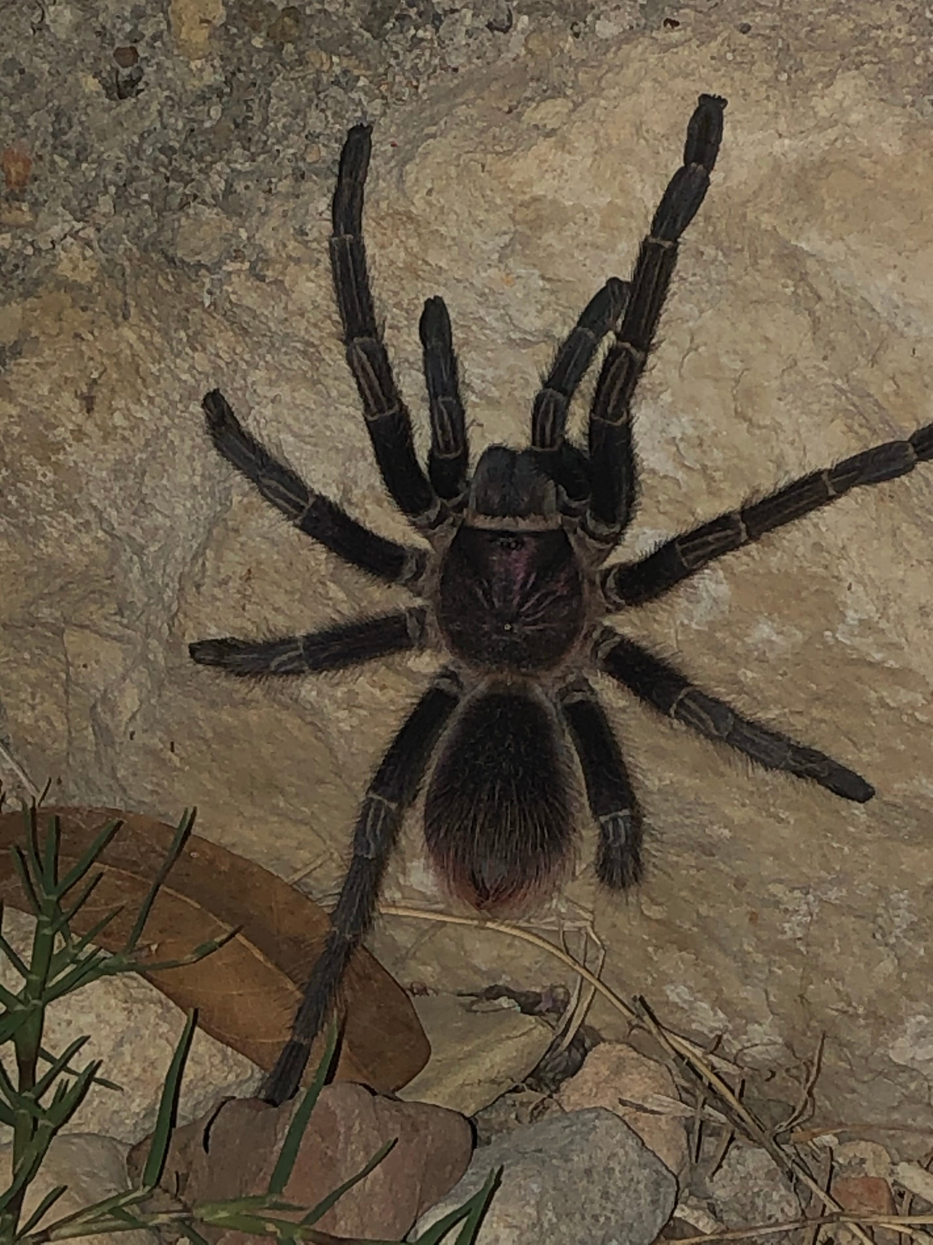 March Updates - by Bethany Heneise