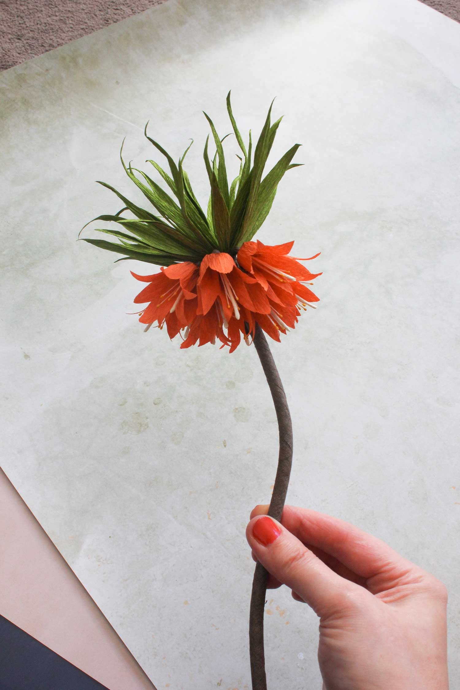 The Q&A: Susan Beech, paper flowers as fine art