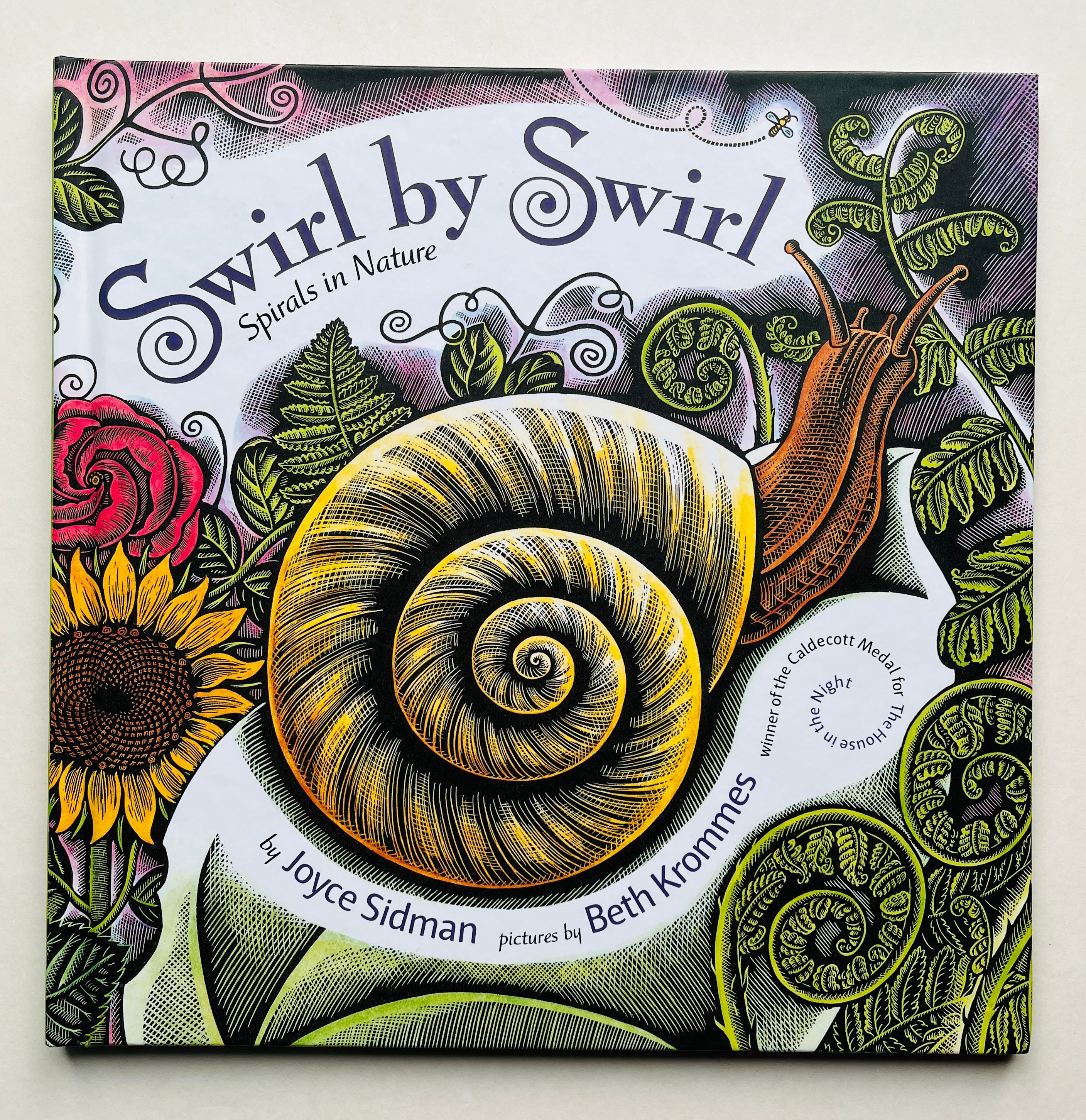 (How) Can we read? Interview with Beth Krommes