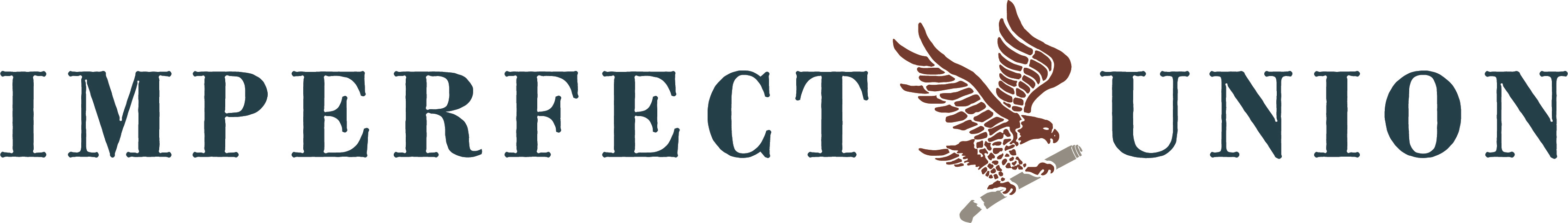 About - Imperfect Union