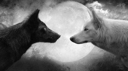 The two wolves of ADHD - by Marco Rizzuto