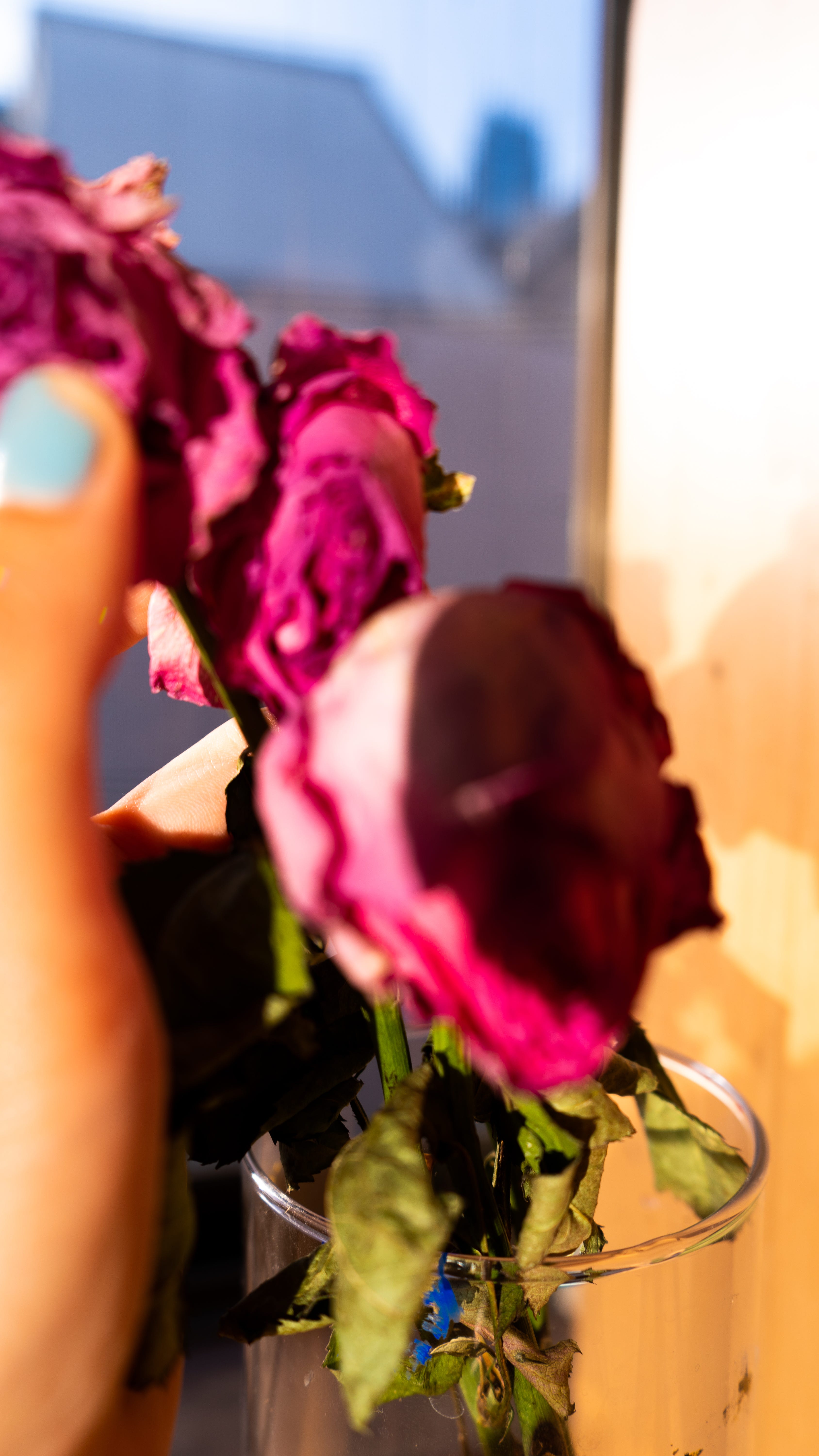 May comes, may come - by Jes Kalled - Swallow