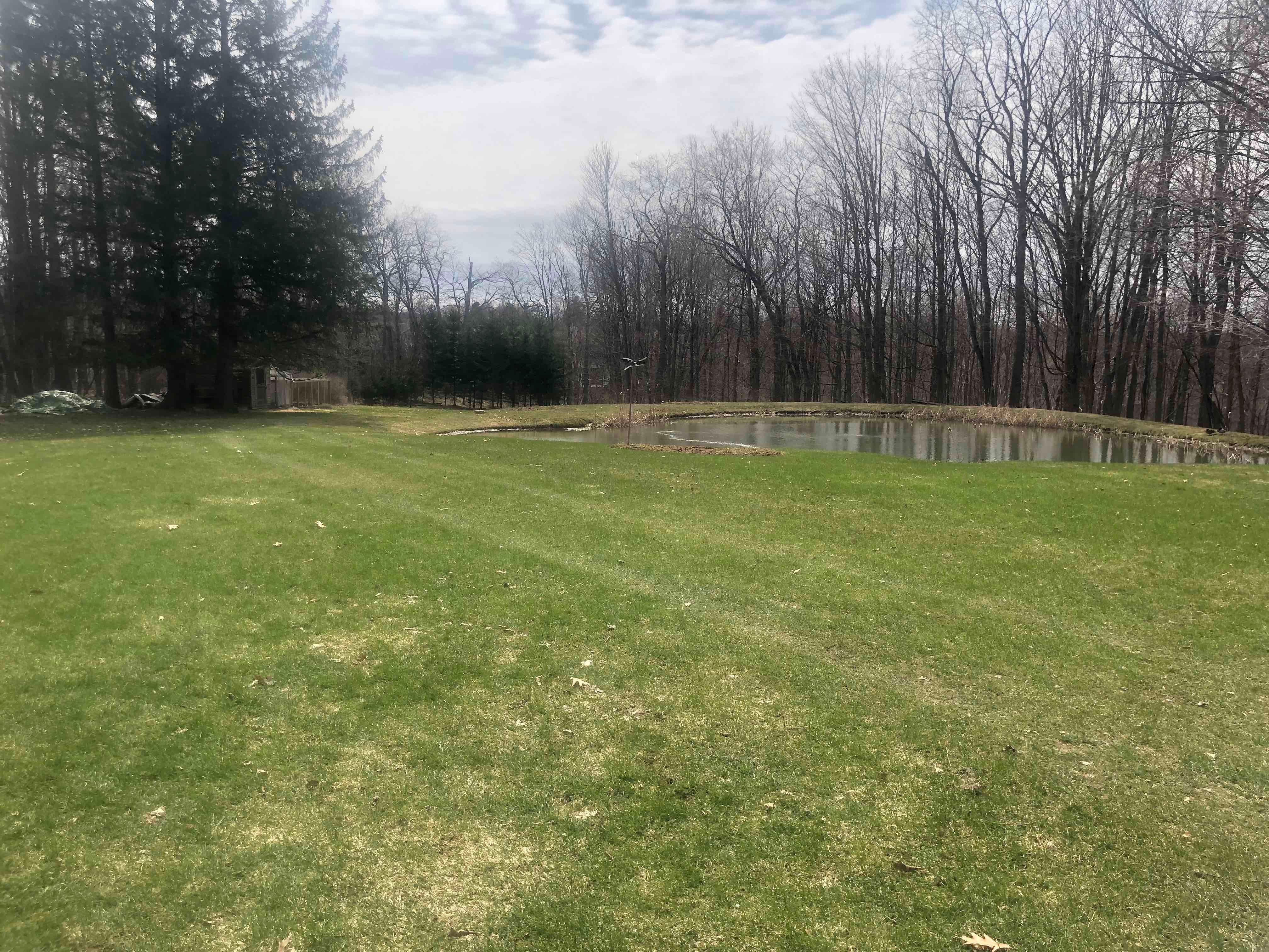 No to Netflix and Who is Rich - Fred Langan Business News