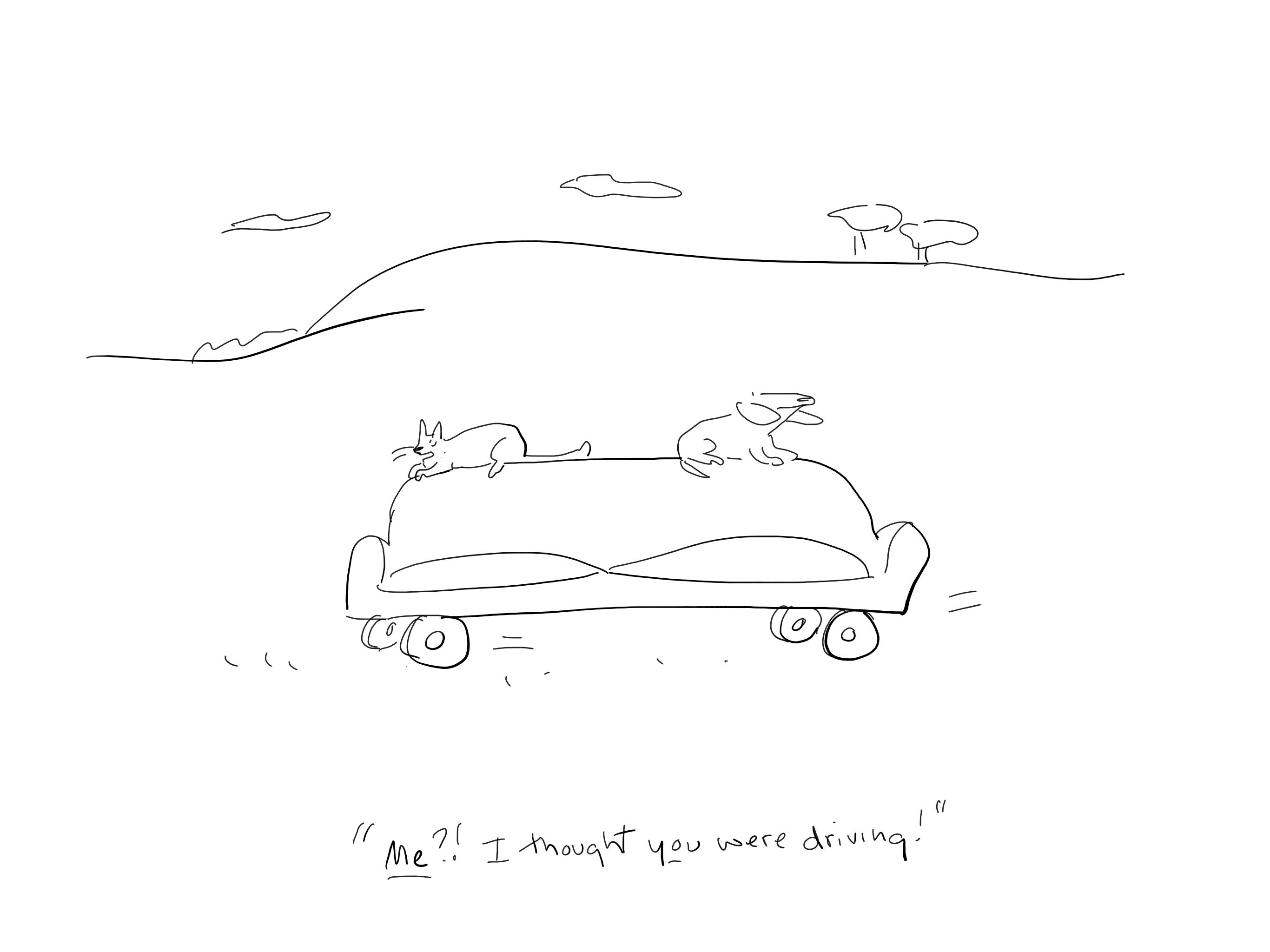 Nonsensical Drawings - by Liza Donnelly - Seeing Things