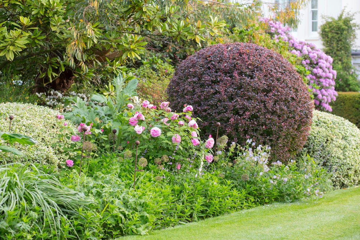 How to design your garden borders