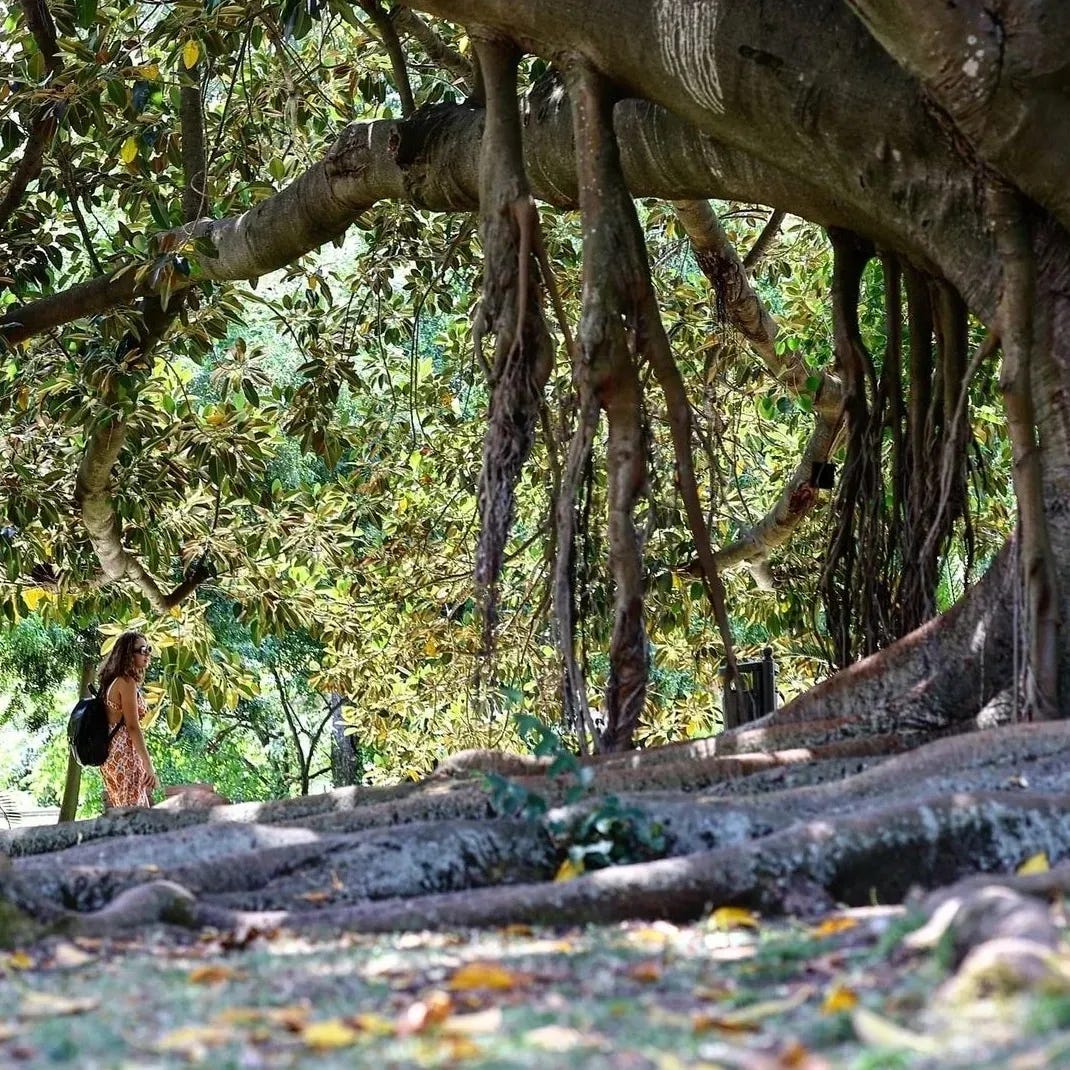 10 Cool Things to Do in Belém - Lisbon Weekly Newsletter