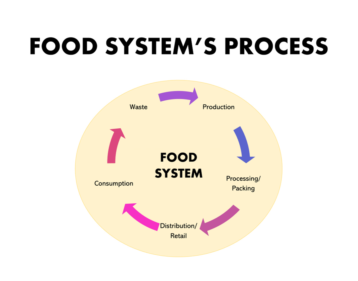 WHAT IS THE FOOD SYSTEM? - by Sofía Cristóbal Reyes