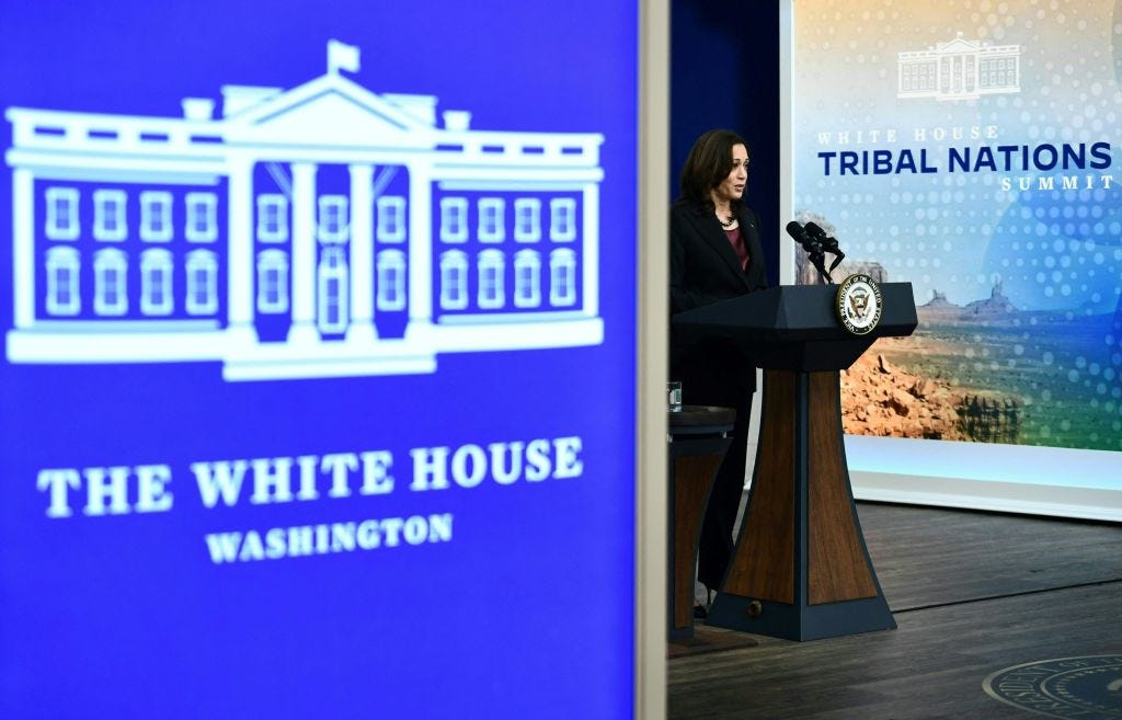 The 2021 virtual White House Tribal Nations Summit in pictures