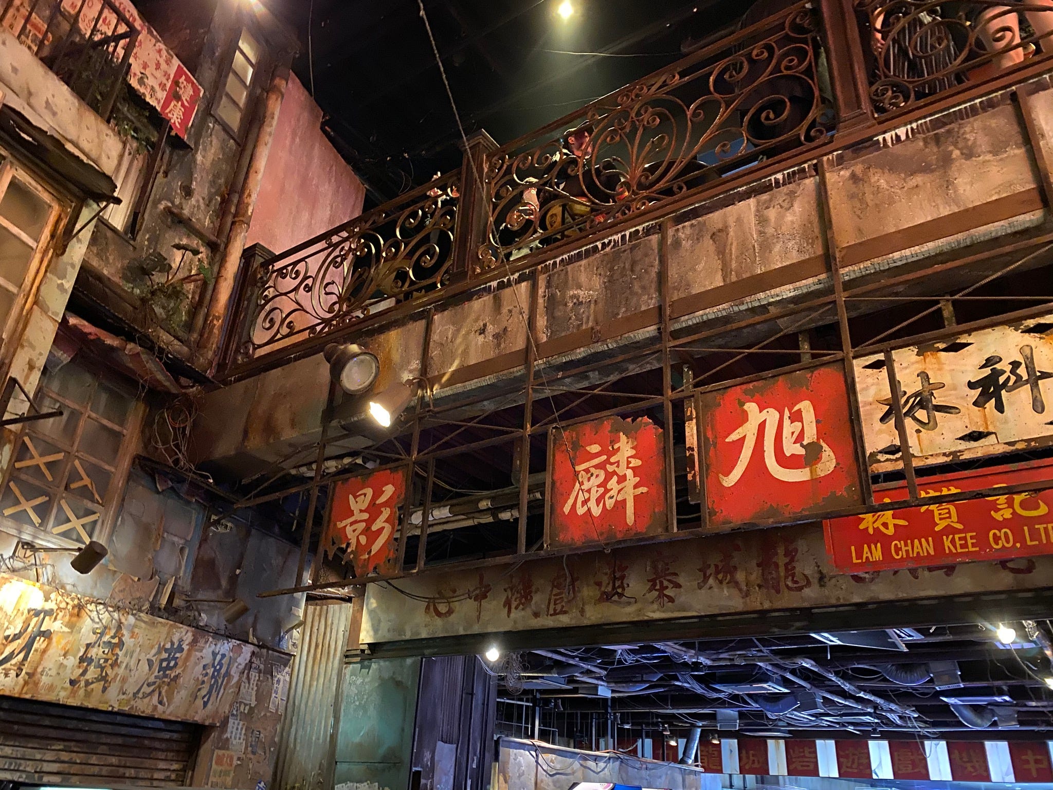 Dill & Fennel Newsletter | brook | Substack