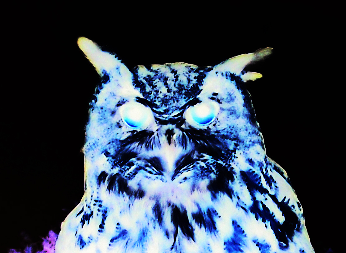 Charles in San Francisco | Substack