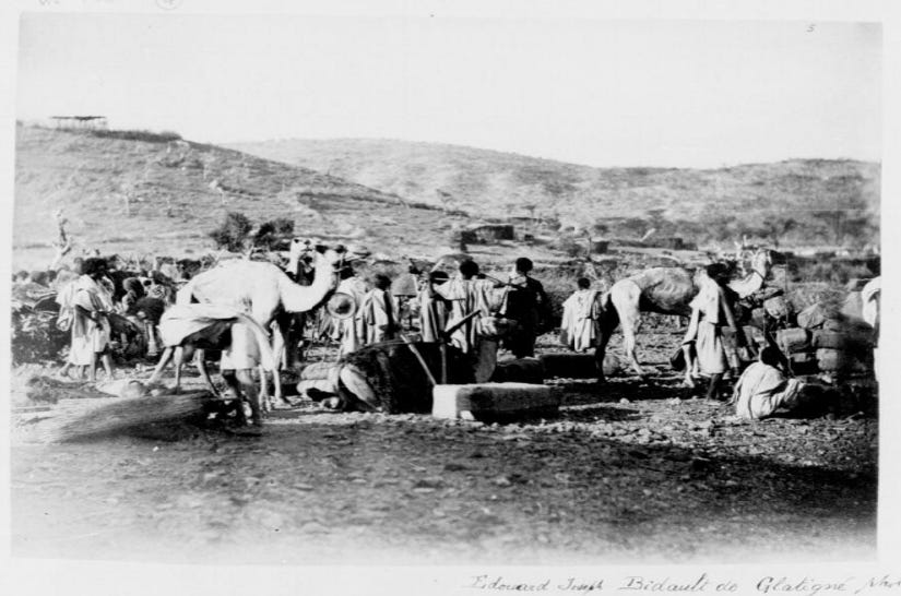 A complete history of Harar; the city of Saints (1050-1887 AD)