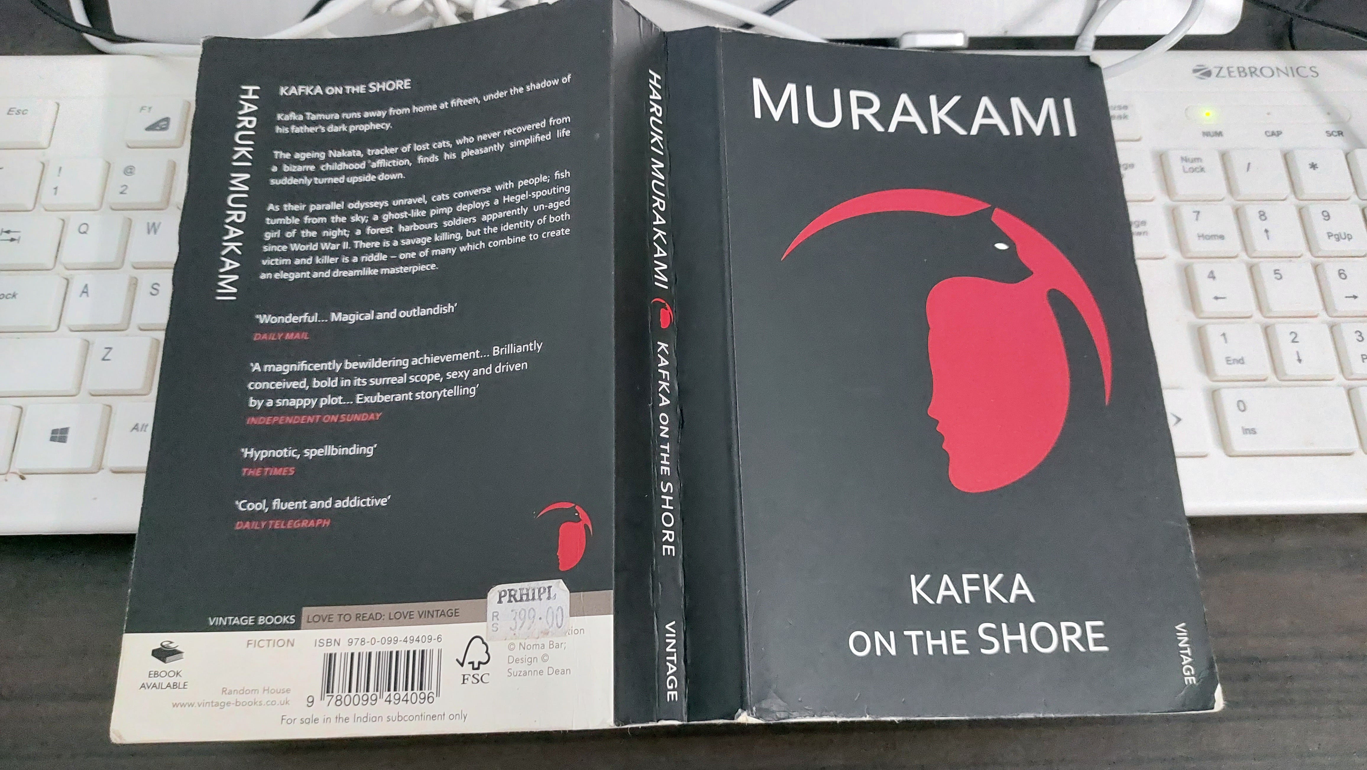 Kafka On The Shore Review- The World Is A Concept