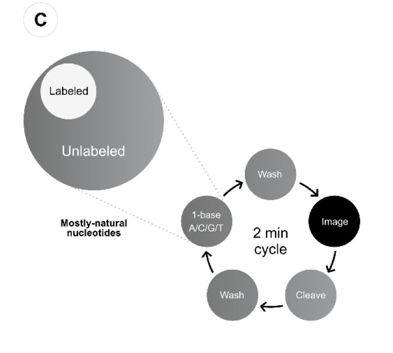 Ultima Genomics - This is how you come out of Stealth