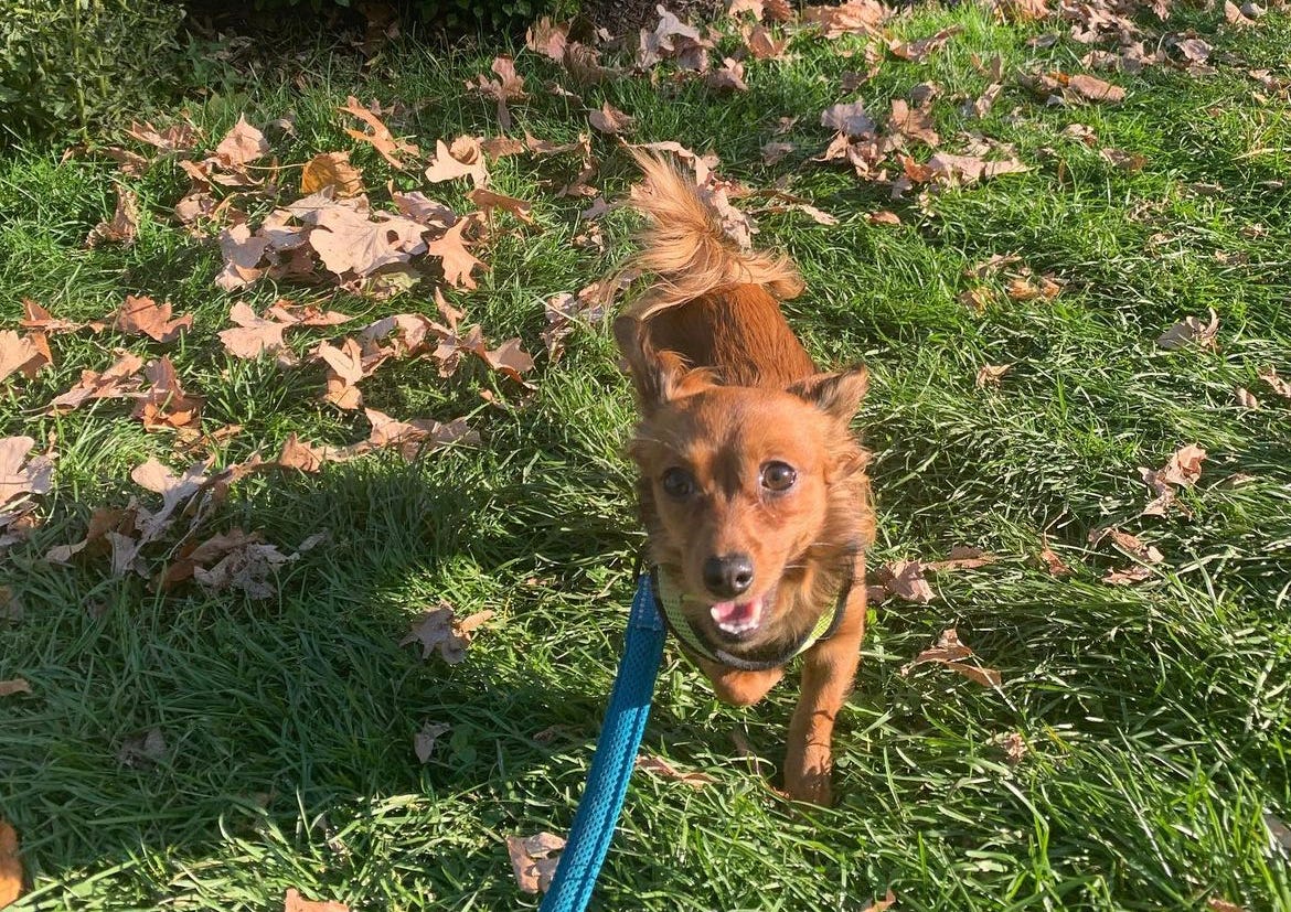 rpg irl: works and days (director's cut)