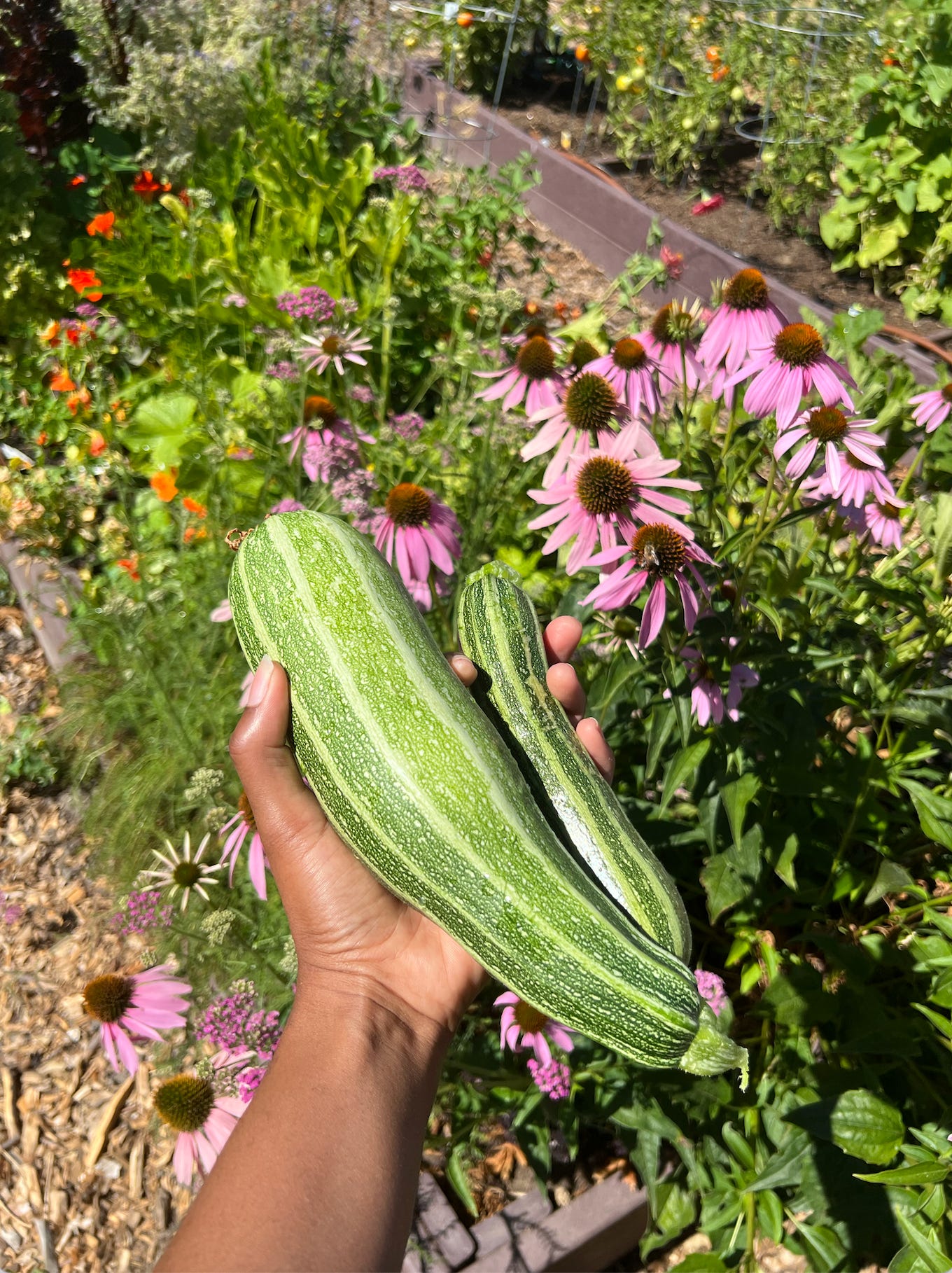 Summer Fruit and Summer Tans - by Fo Fera - The One Journal