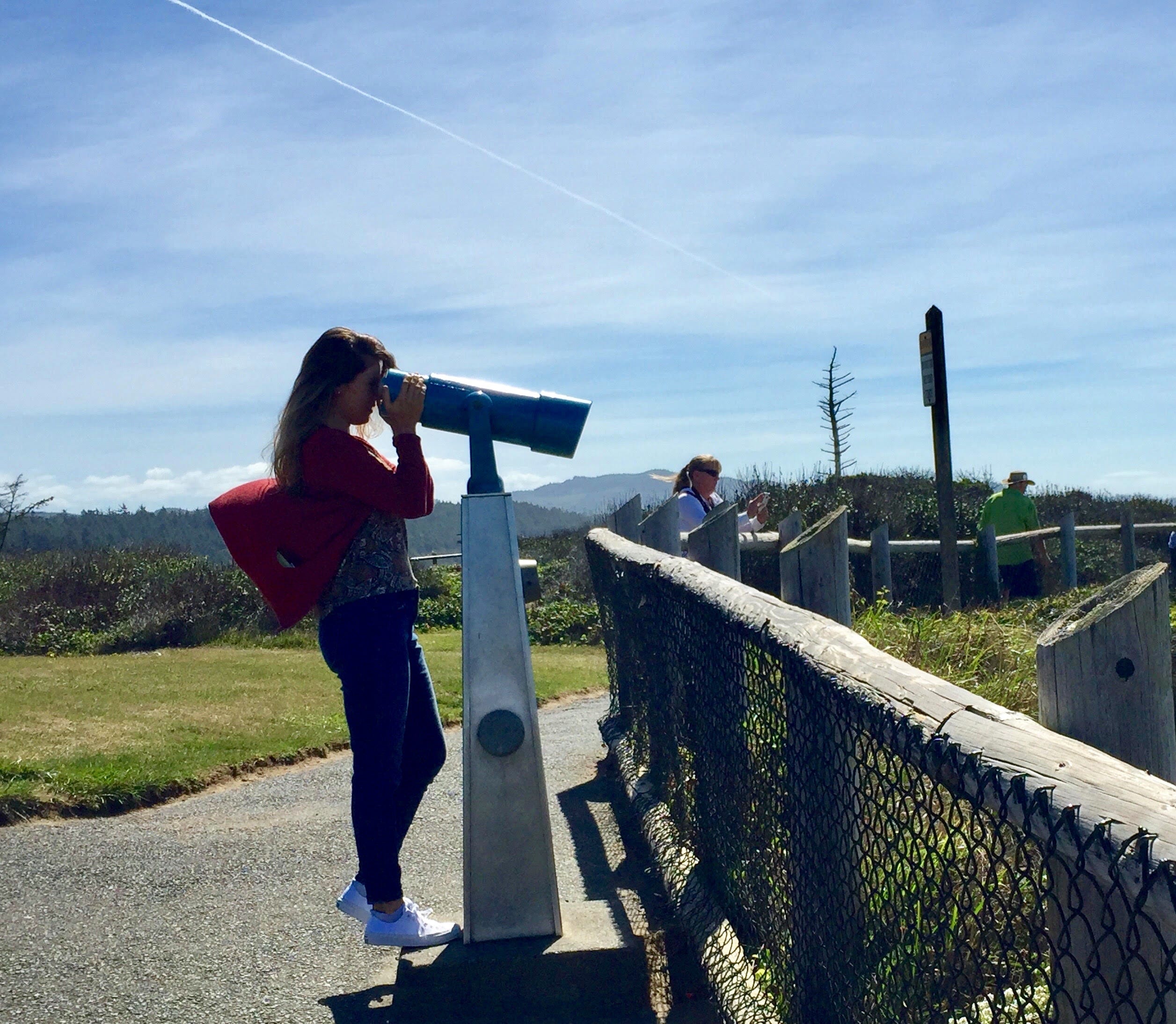 The Next Big Thing - by Janel Abrahami - Modern Mavericks