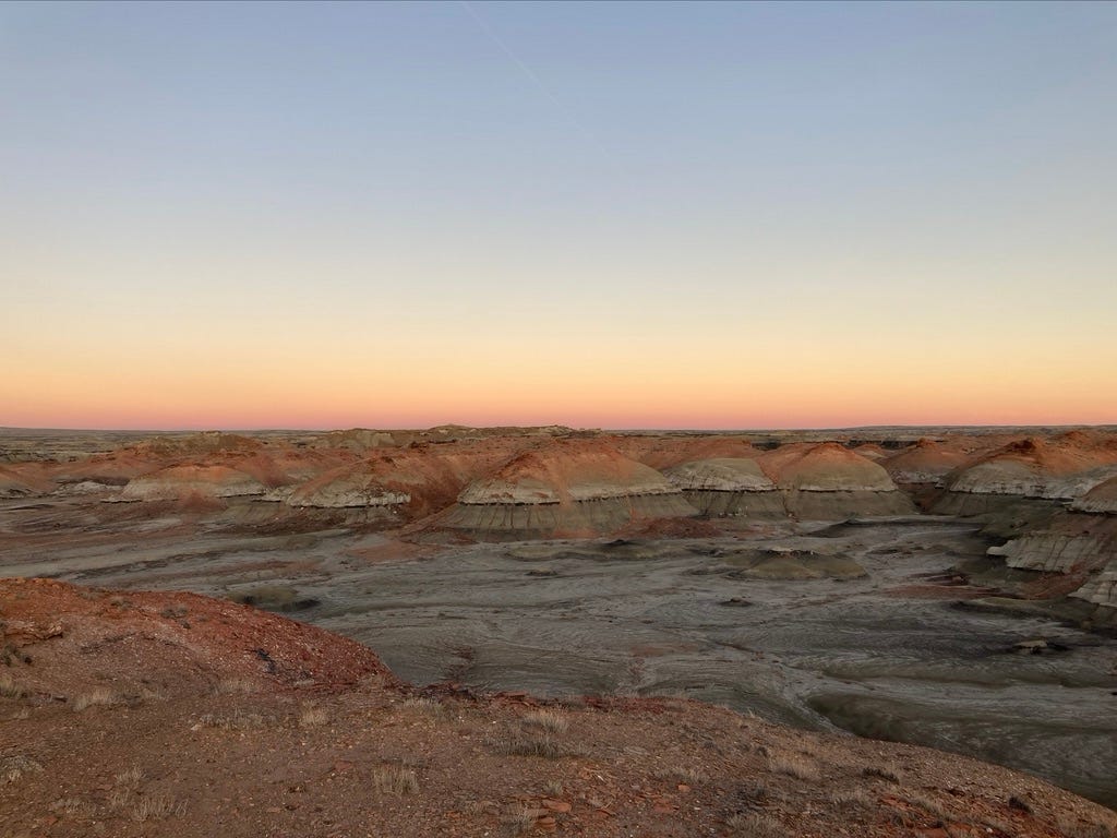 Dissection Day at The Chuckle Hut - by John Rhoades
