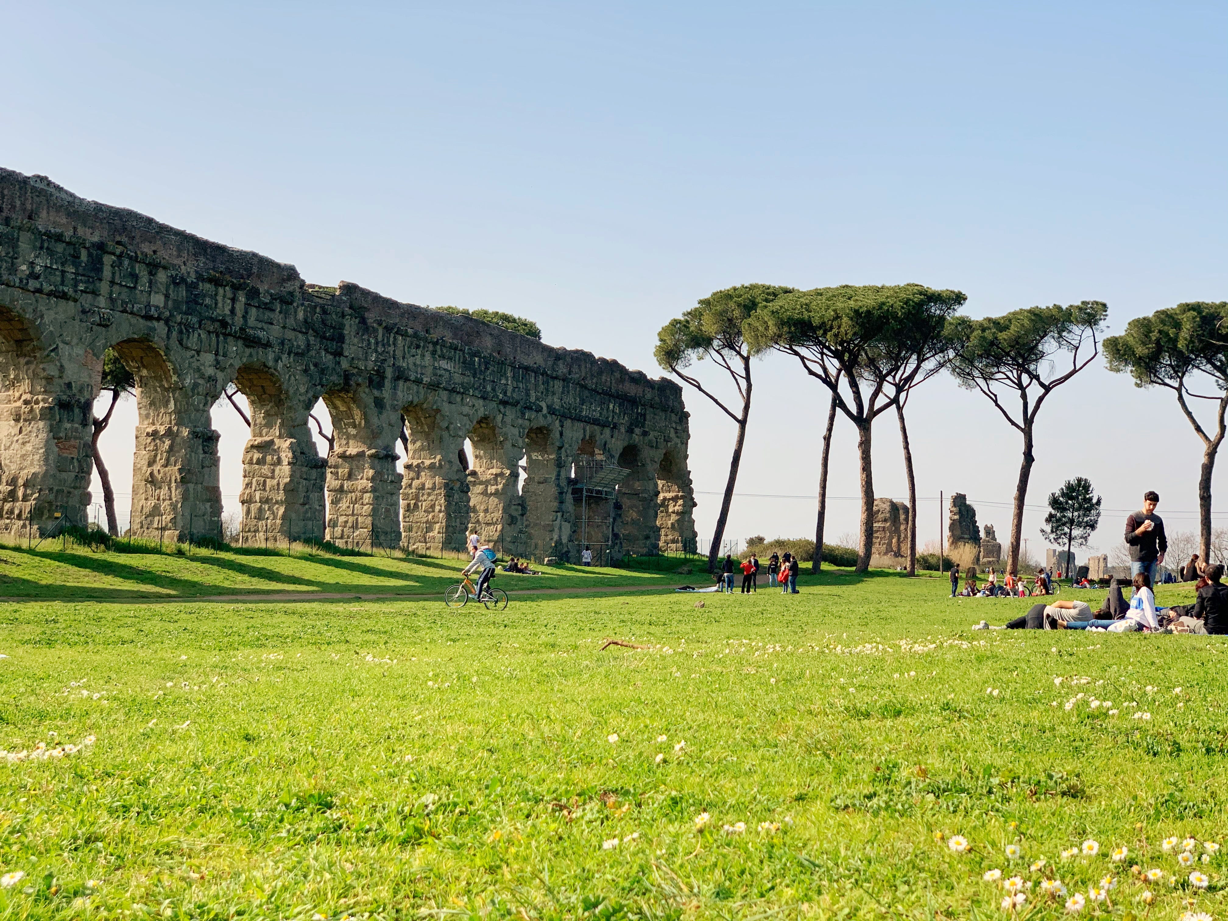 The Role of Dogs in Rome, from Antiquity to Today