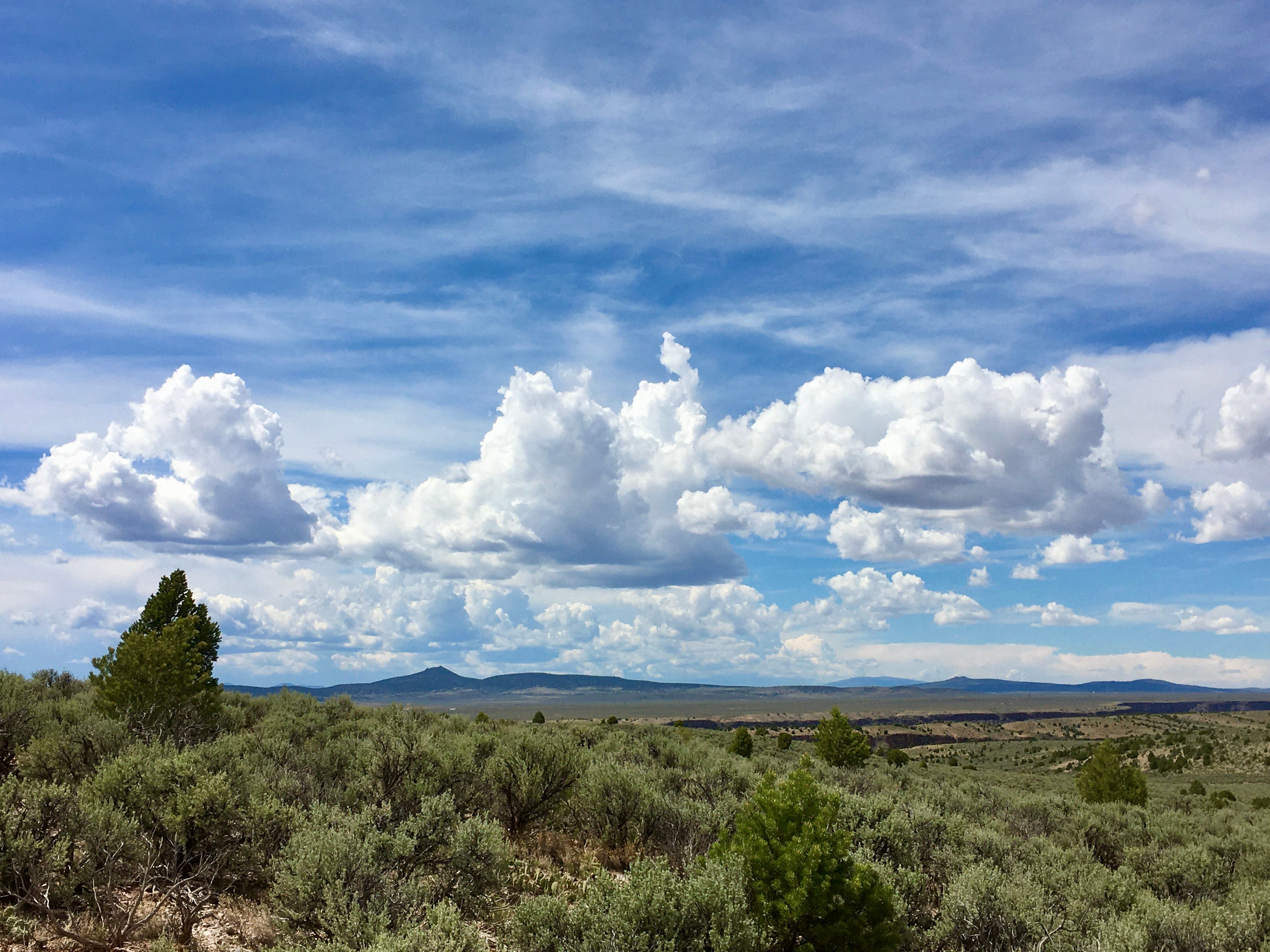 Love and Monsters - by John Hamilton Farr - GODDAMN BUFFALO