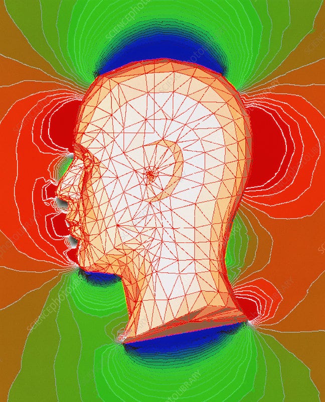 How Your Nervous System Works Part 2 🧠