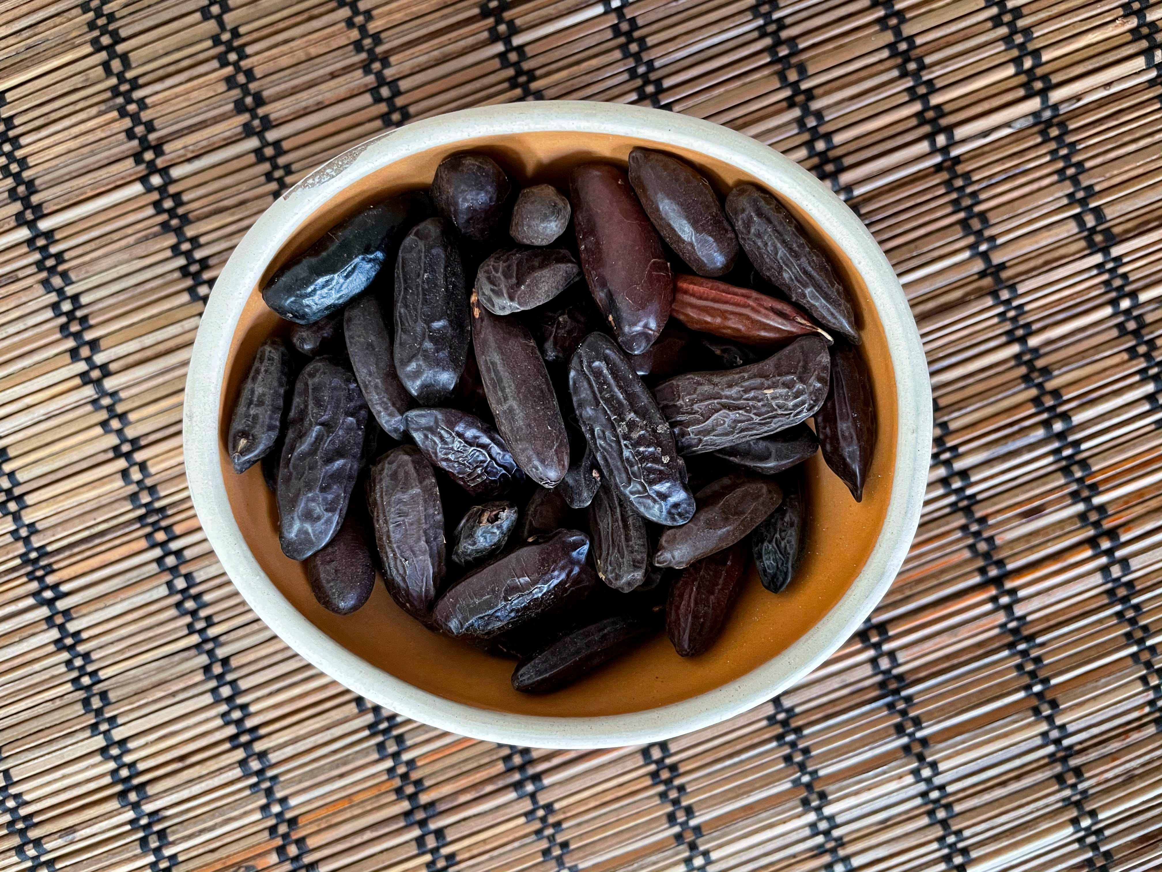 Free the Tonka Bean - by Nicholas Gill - New Worlder