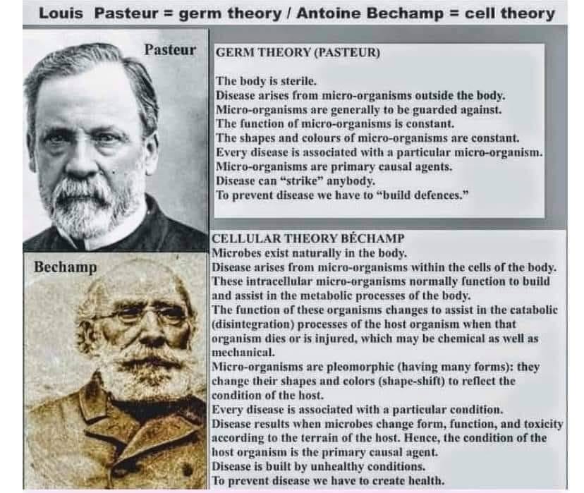 Germ Theory vs Terrain Theory of Disease - by Max Wang Germ Theory vs Terrain Theory of Disease - by Max Wang