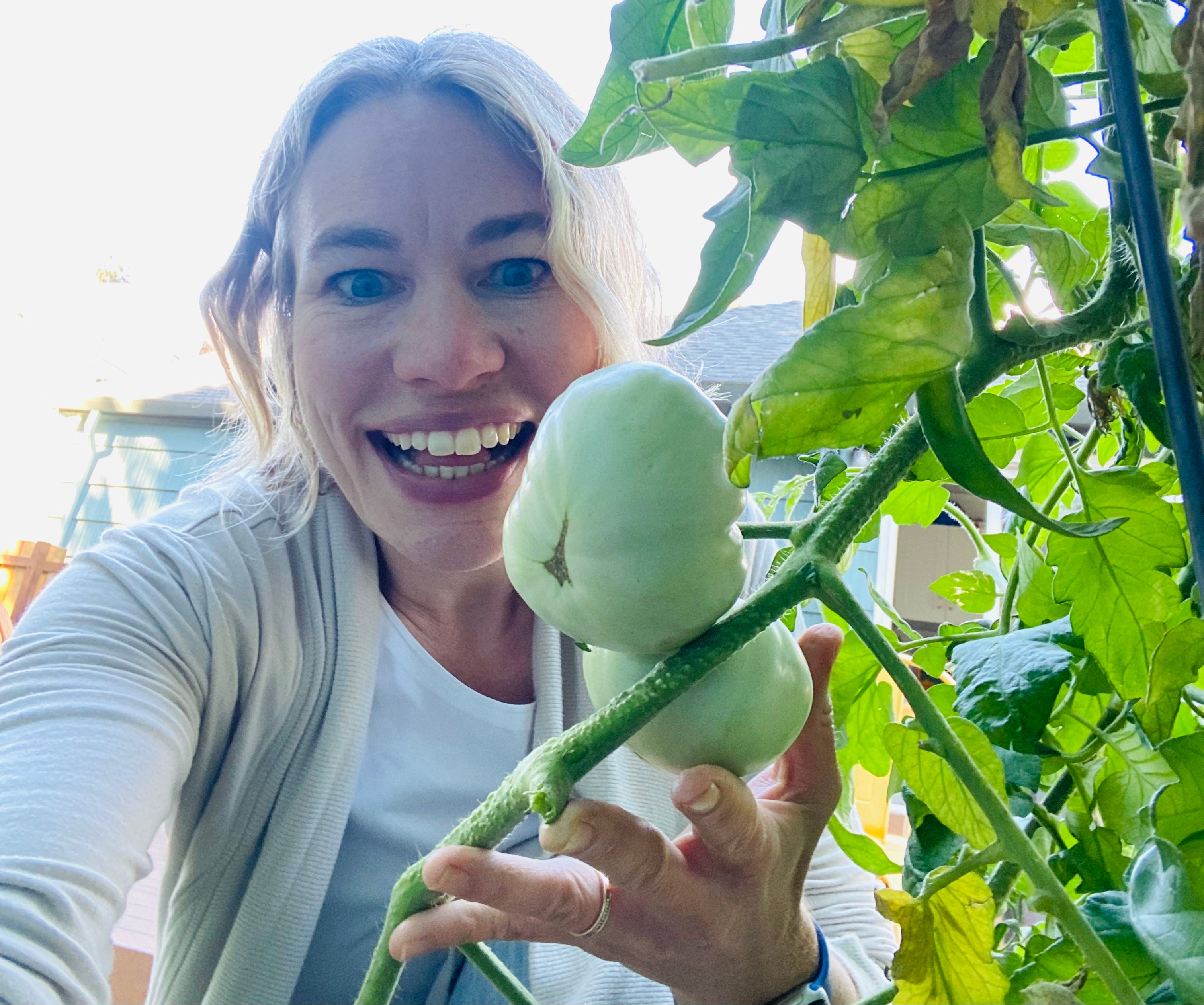 For the Love of a Tomato Plant - by Elizabeth Doerr