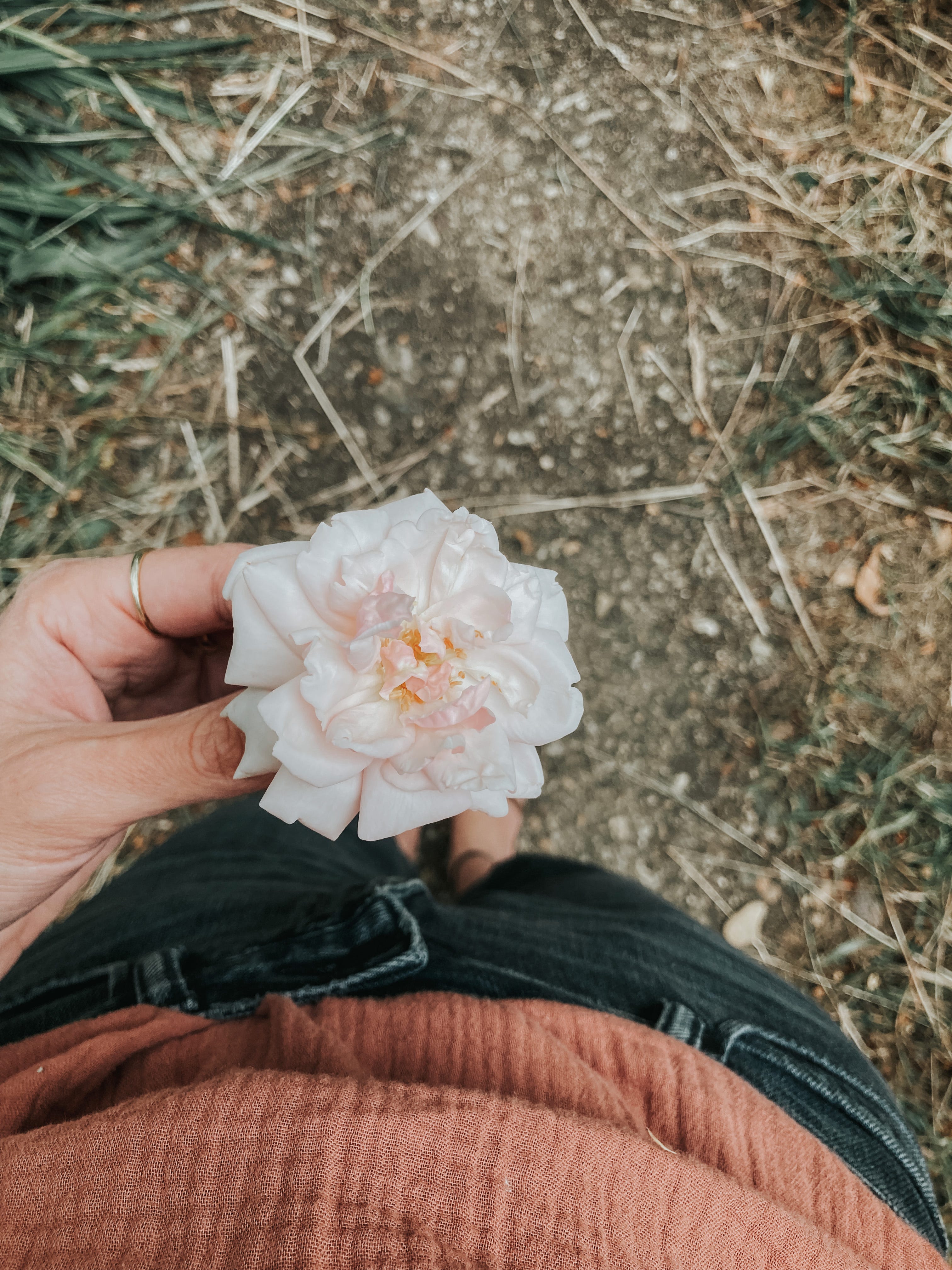 The complexities of scattering ashes - by Gaelle Jolly