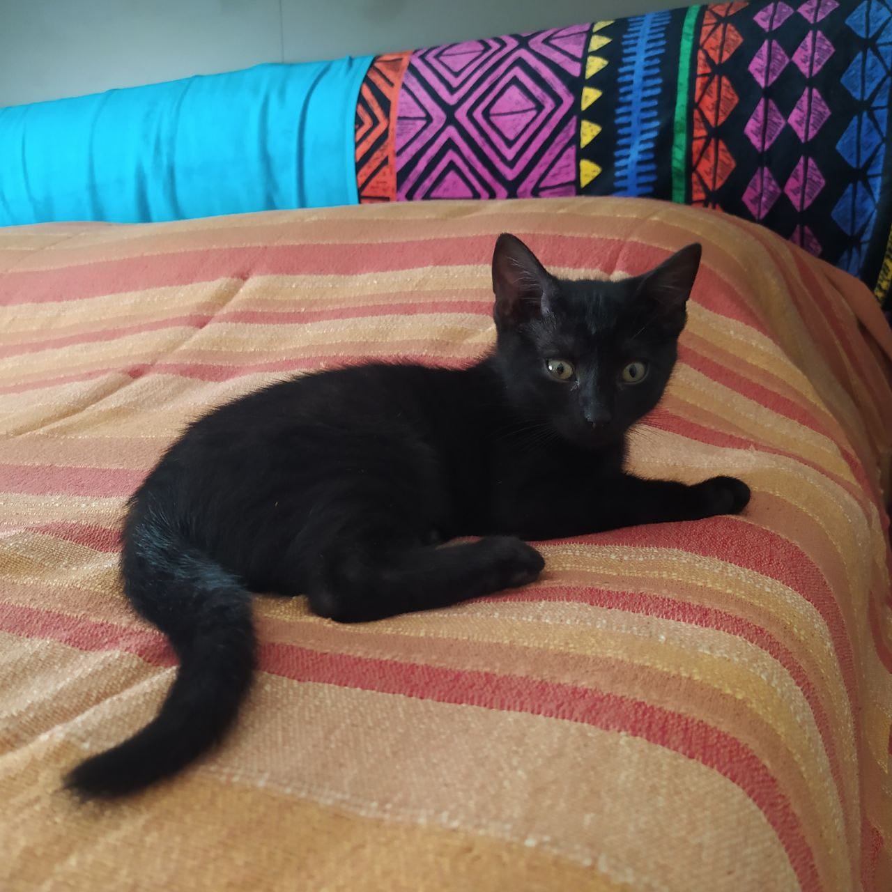 Contents...attendere prego. - by Fabio D'Isanto - VISIONI