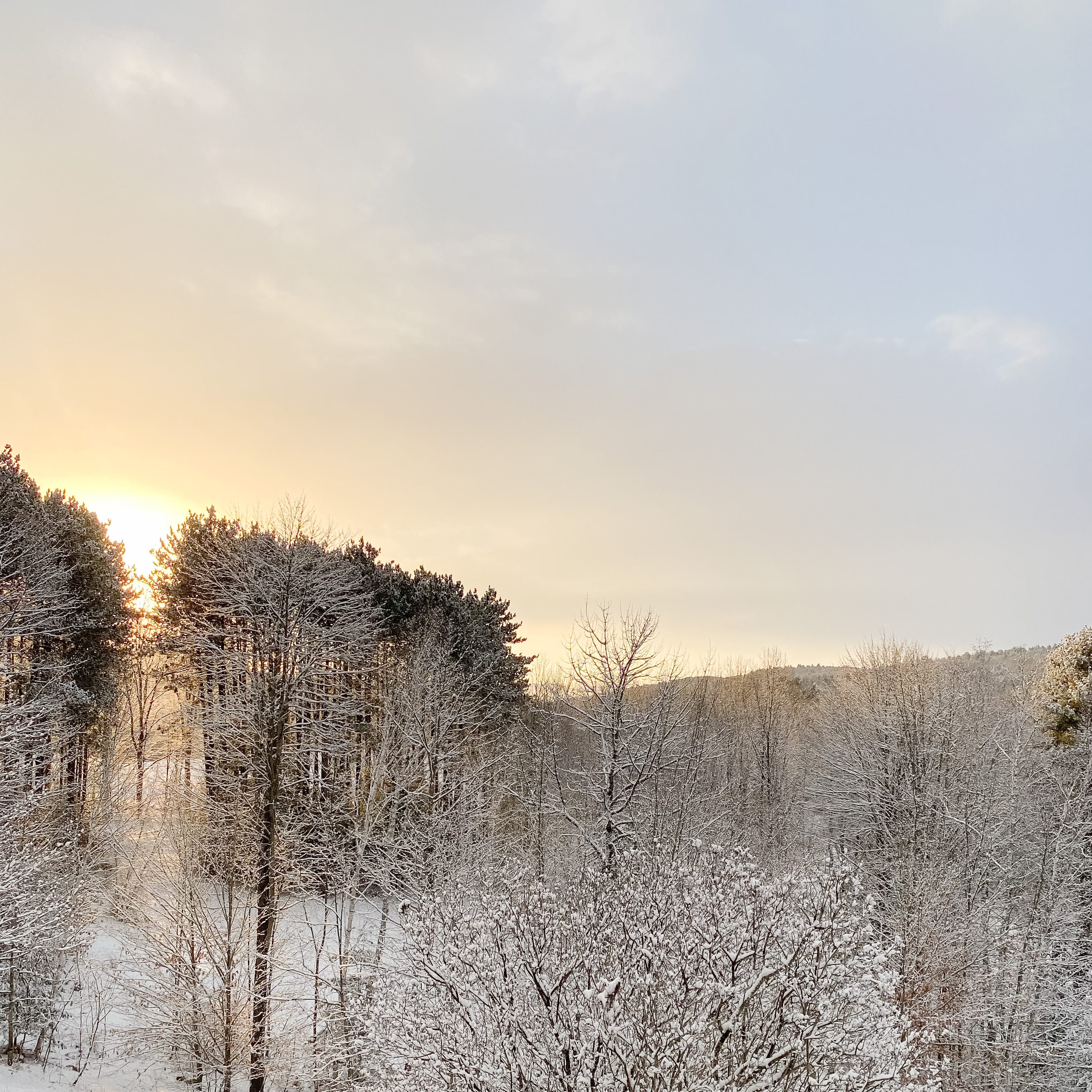 Part 3/3 - Fashioned for God - by Renata Watts