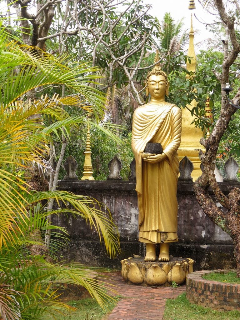 Reading a Birth Chart - by Amy Sukwan - Amy’s Newsletter