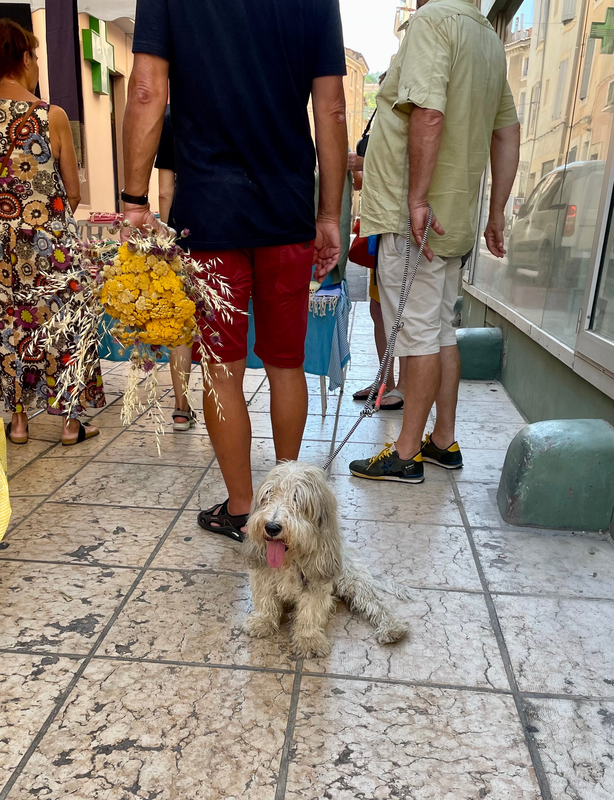 Naked grapefruit, the pith is in the copy. The zen of pamplemousse and ...