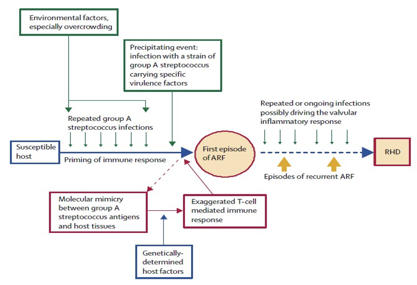 consensus guidelines of diagnosis and management of Rheumatic heart ...
