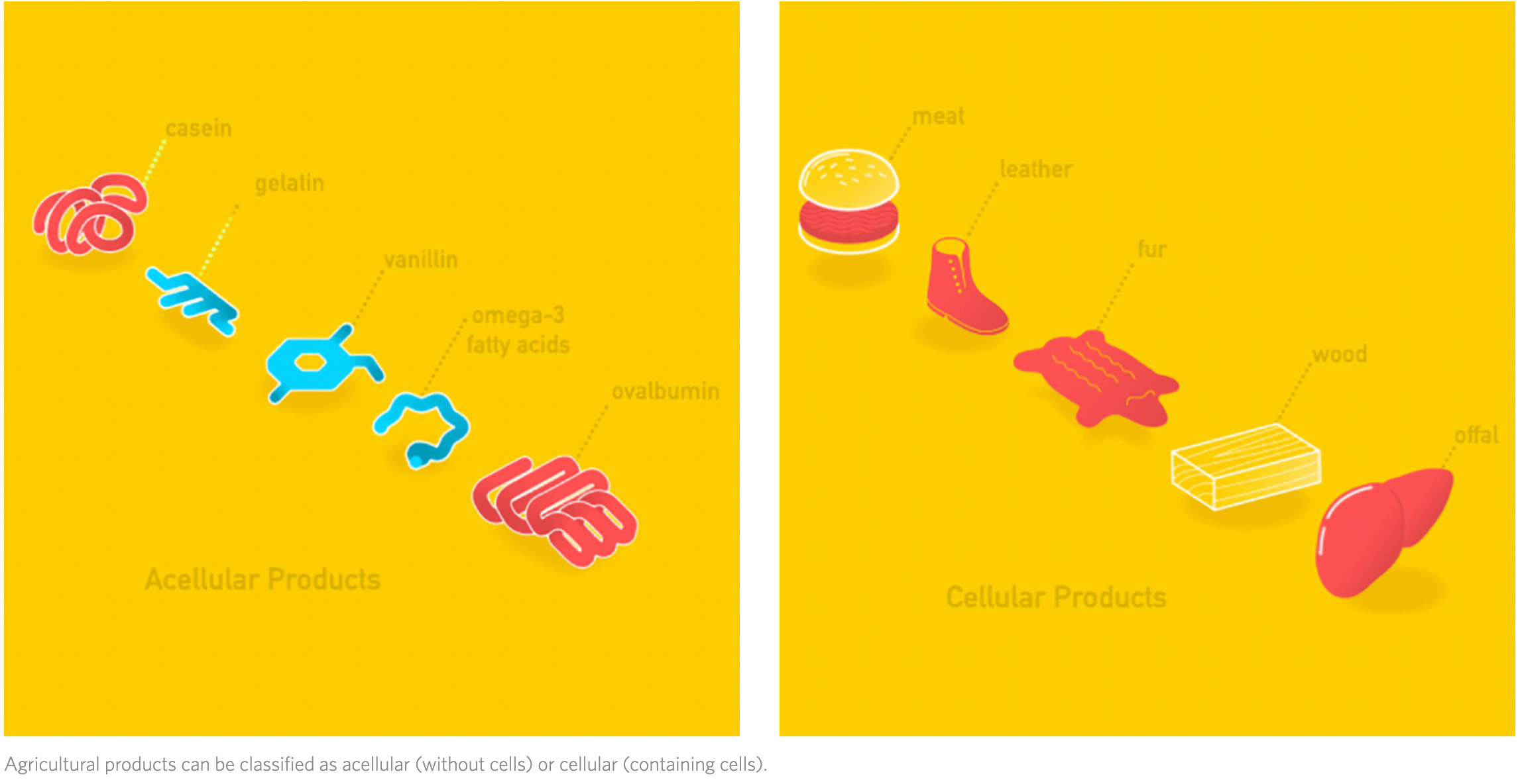 Cellular agriculture landscape - by Nate Crosser