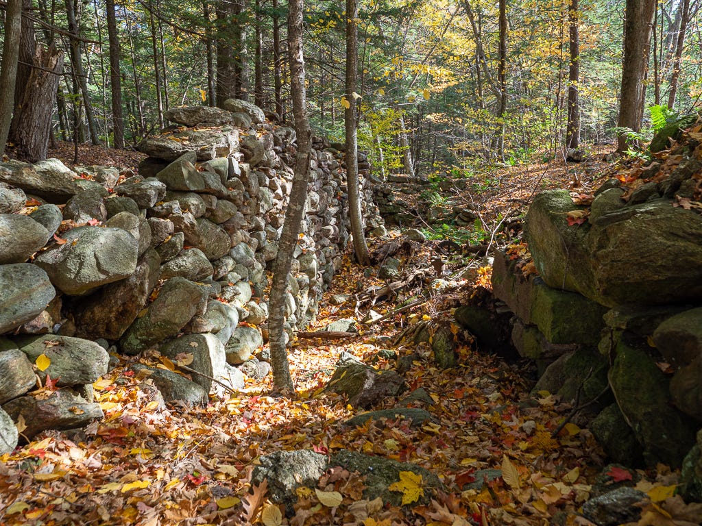 Exploring Remnants of Wheeler Mill - by John M Poltrack