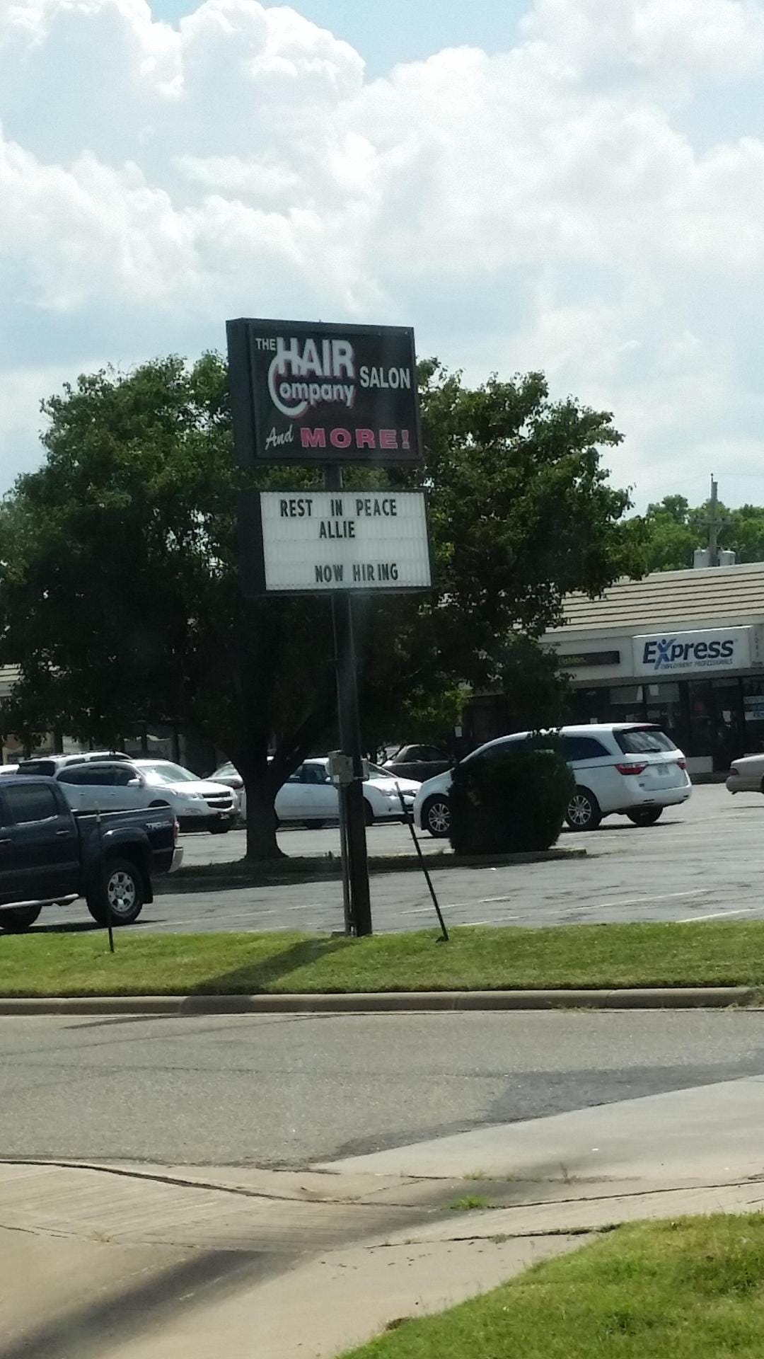 Sectional Healing: But Like, Do We NEED Puppets on Twitter?