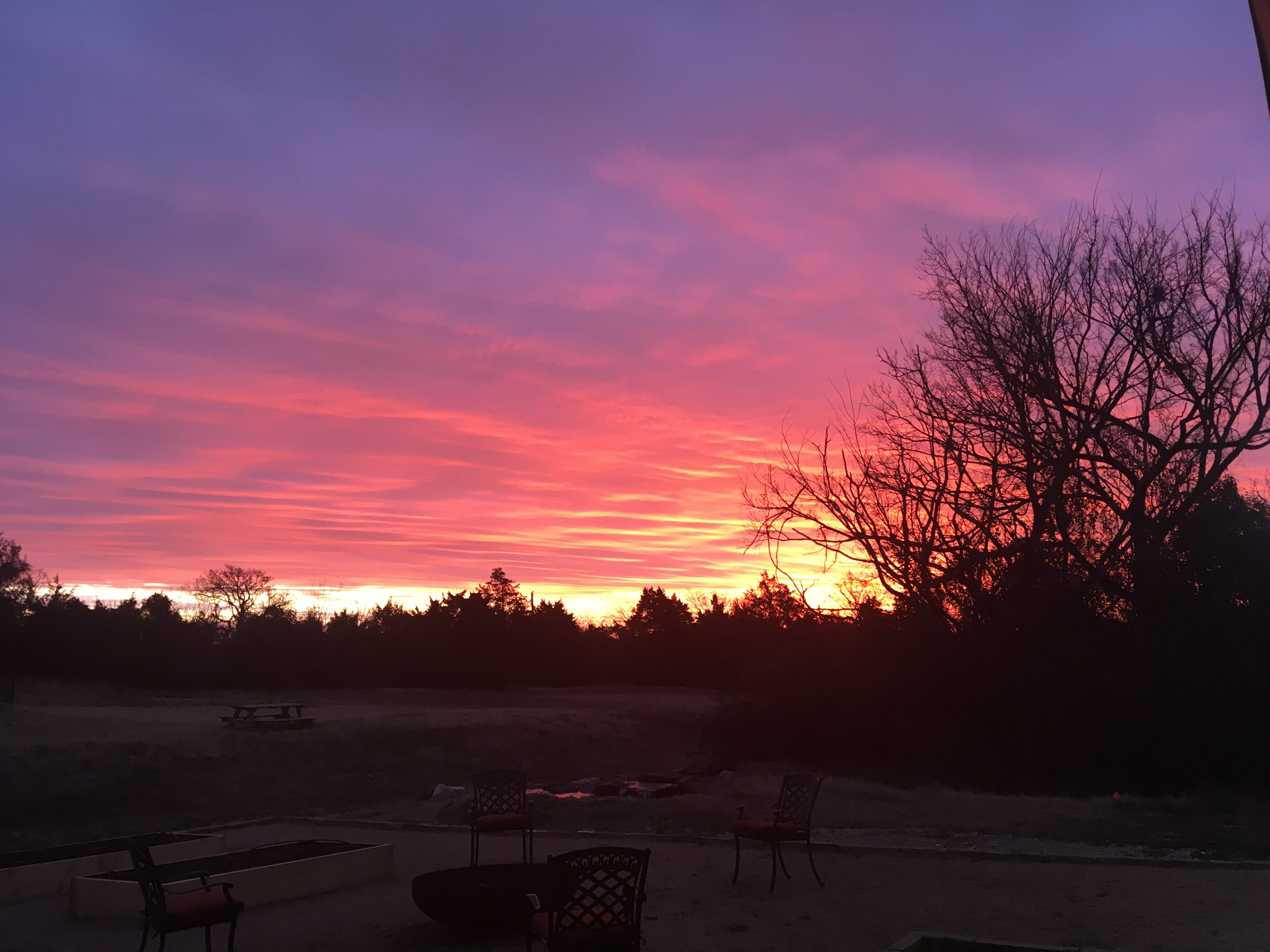 Neal Shaw | Substack