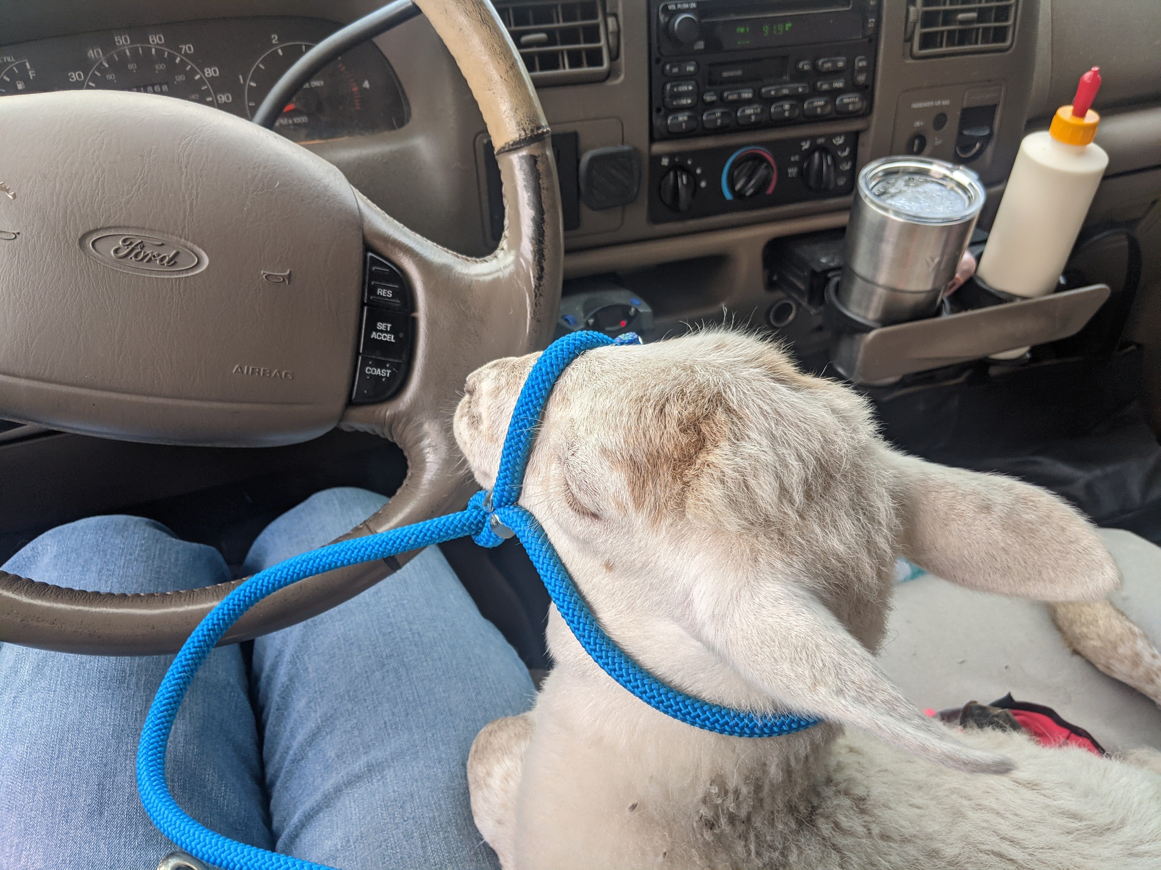 Get A Good Friday Buzz Going - by AC Shilton