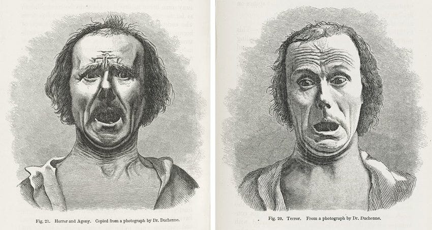 The Spectrum of Screams: Horror Terms 101