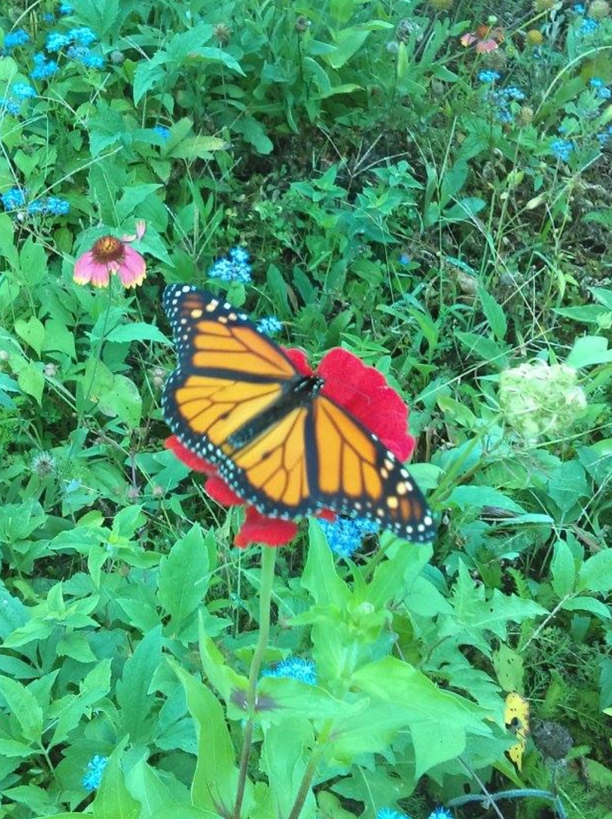 In Between Times 9-8-2022 - by The EarthxAction Team