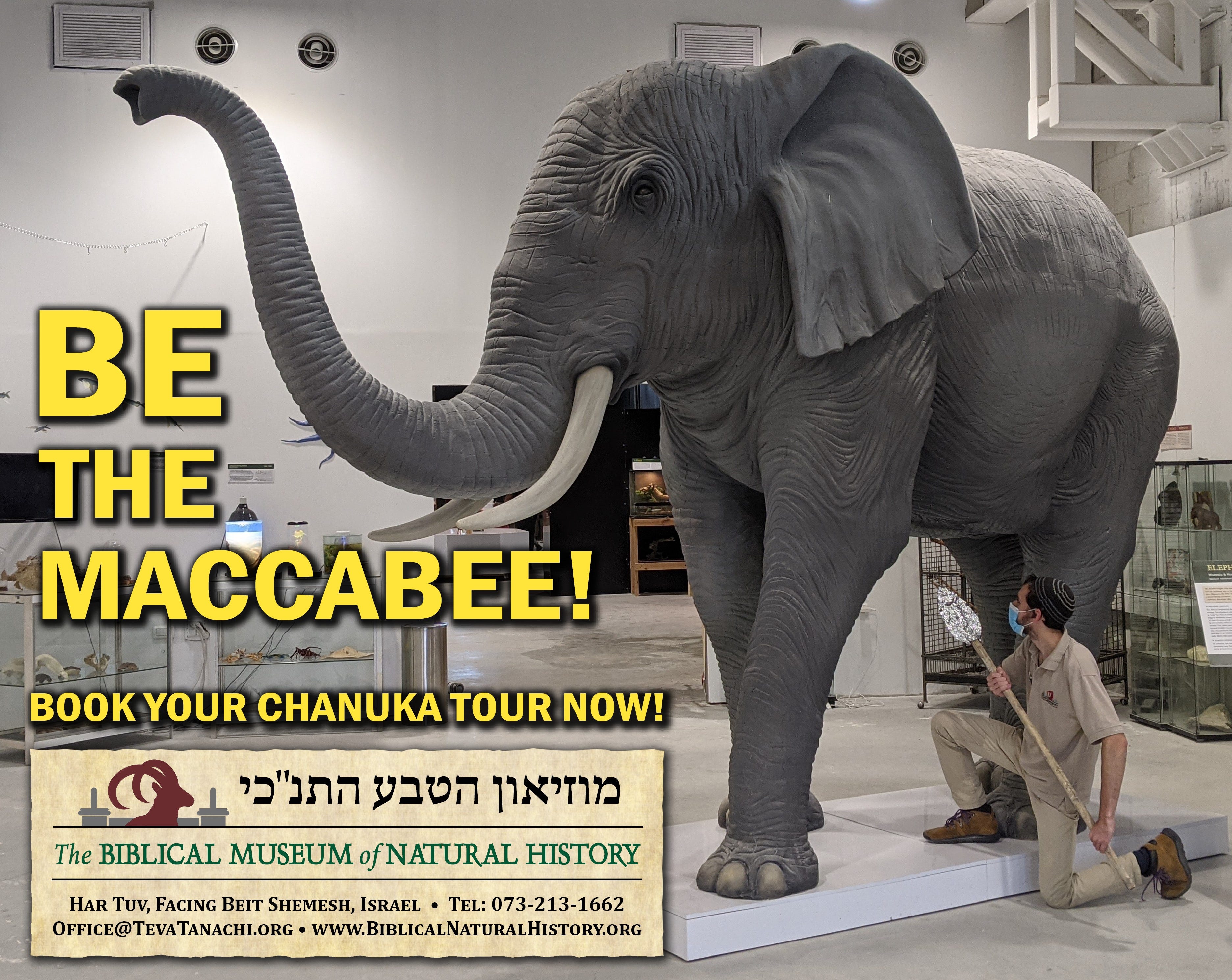 Missing Chanukah - by Natan Slifkin - Rationalist Judaism