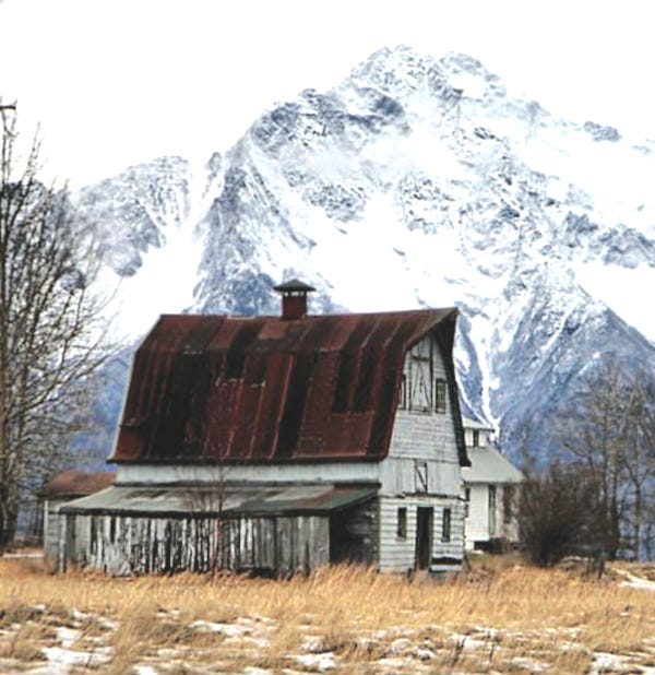 Matanuska Colony Barns - by Helen Hegener