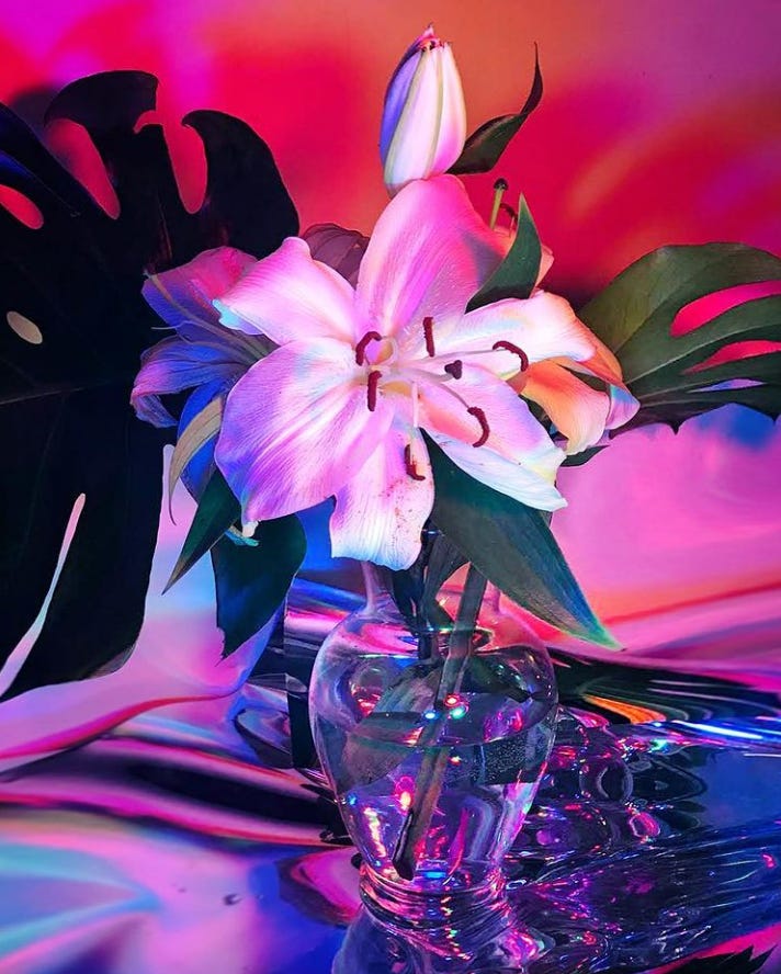 Signe Pierce's Provocative Visual Art Smashes The Patriarchy, In Neon