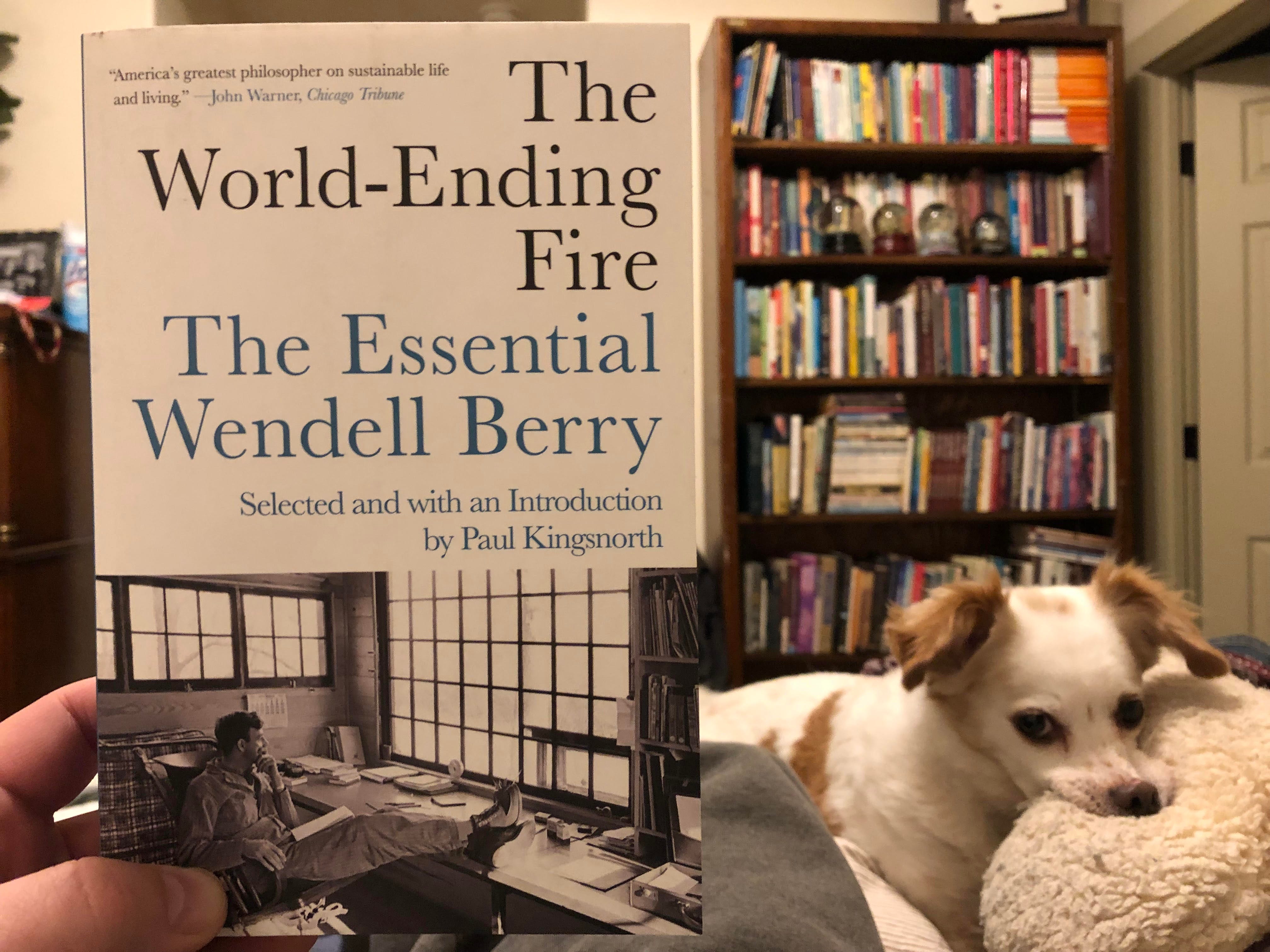 The World-Ending Fire: The Essential Wendell Berry