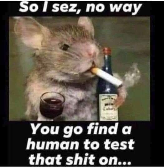 Memes From a (Former) Stripper - by Amy Sukwan