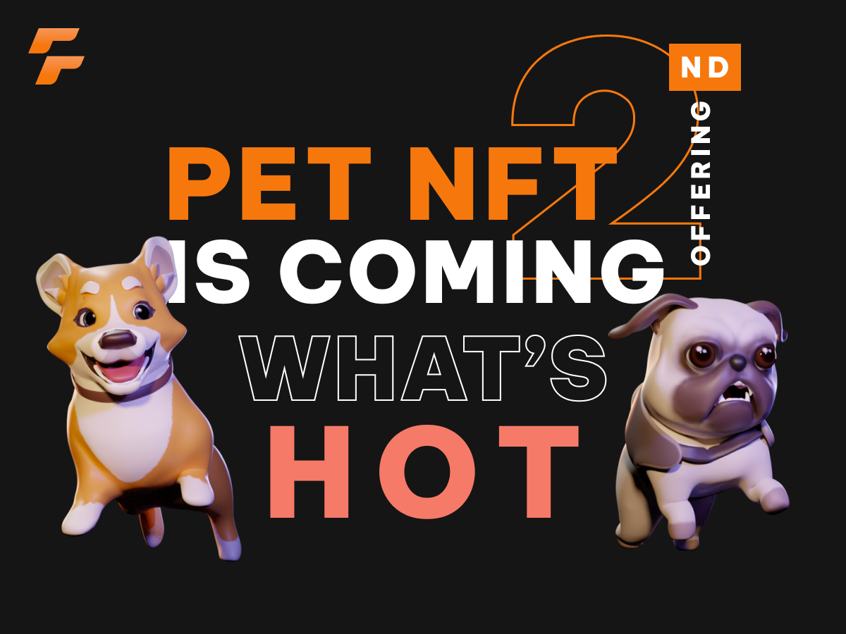 PET NFT 2ND OFFERING - CREATE HIGHLIGHTS FOR YOUR JOURNEY