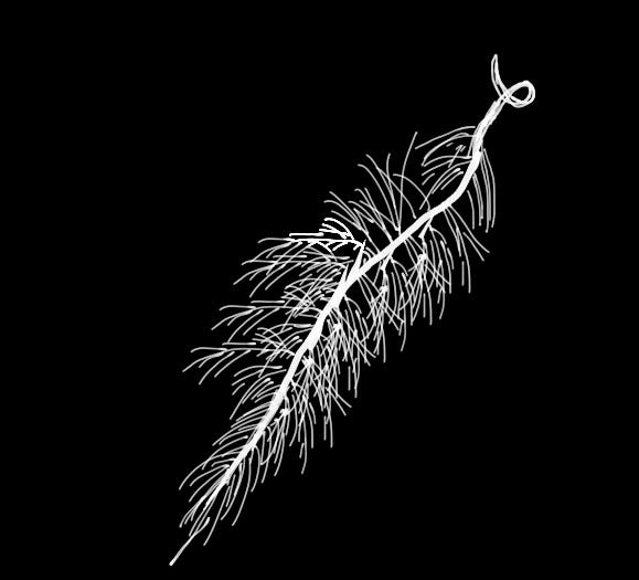 More Vision, Less Critique - by Erin Lynn Raab, Ph.D.